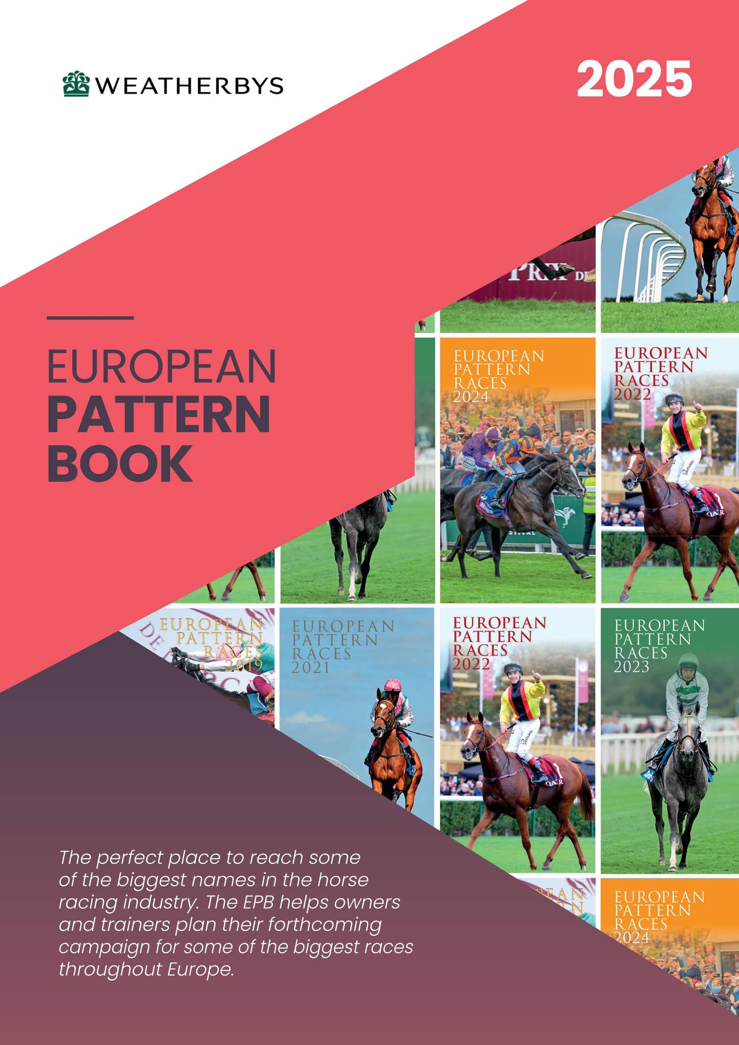European Pattern Book 2025 Media Pack by Weatherbys - Issuu