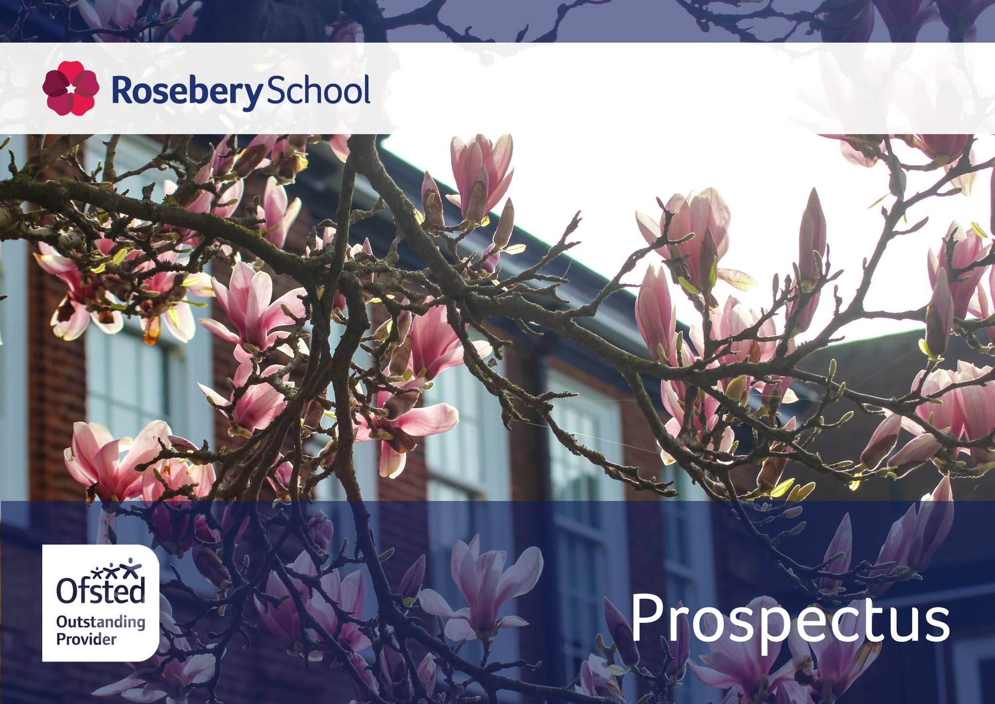 Rosebery School Prospectus by roseberysch - Issuu