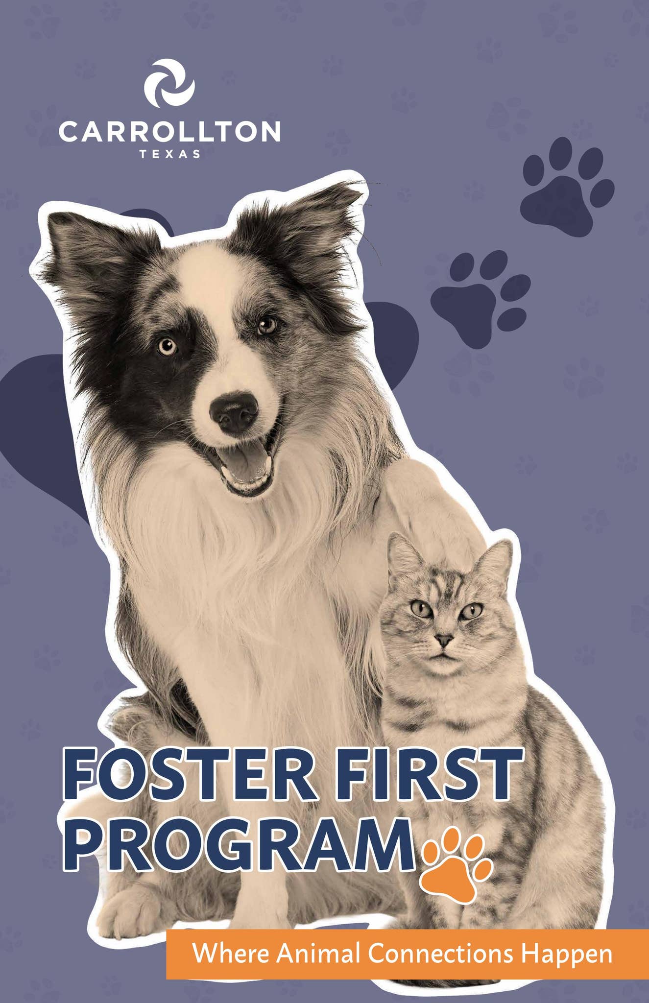 Foster First Program Manual by City of Carrollton - Issuu