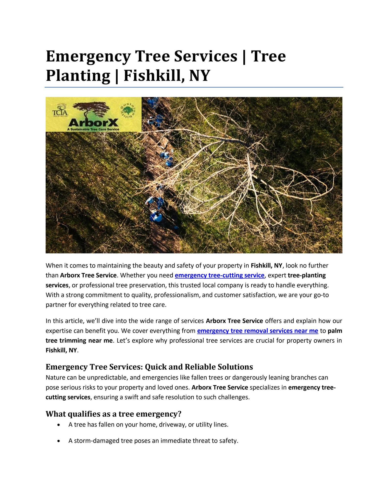 Emergency Tree Services | Tree Planting | Fishkill, NY by Digi Era Pro ...