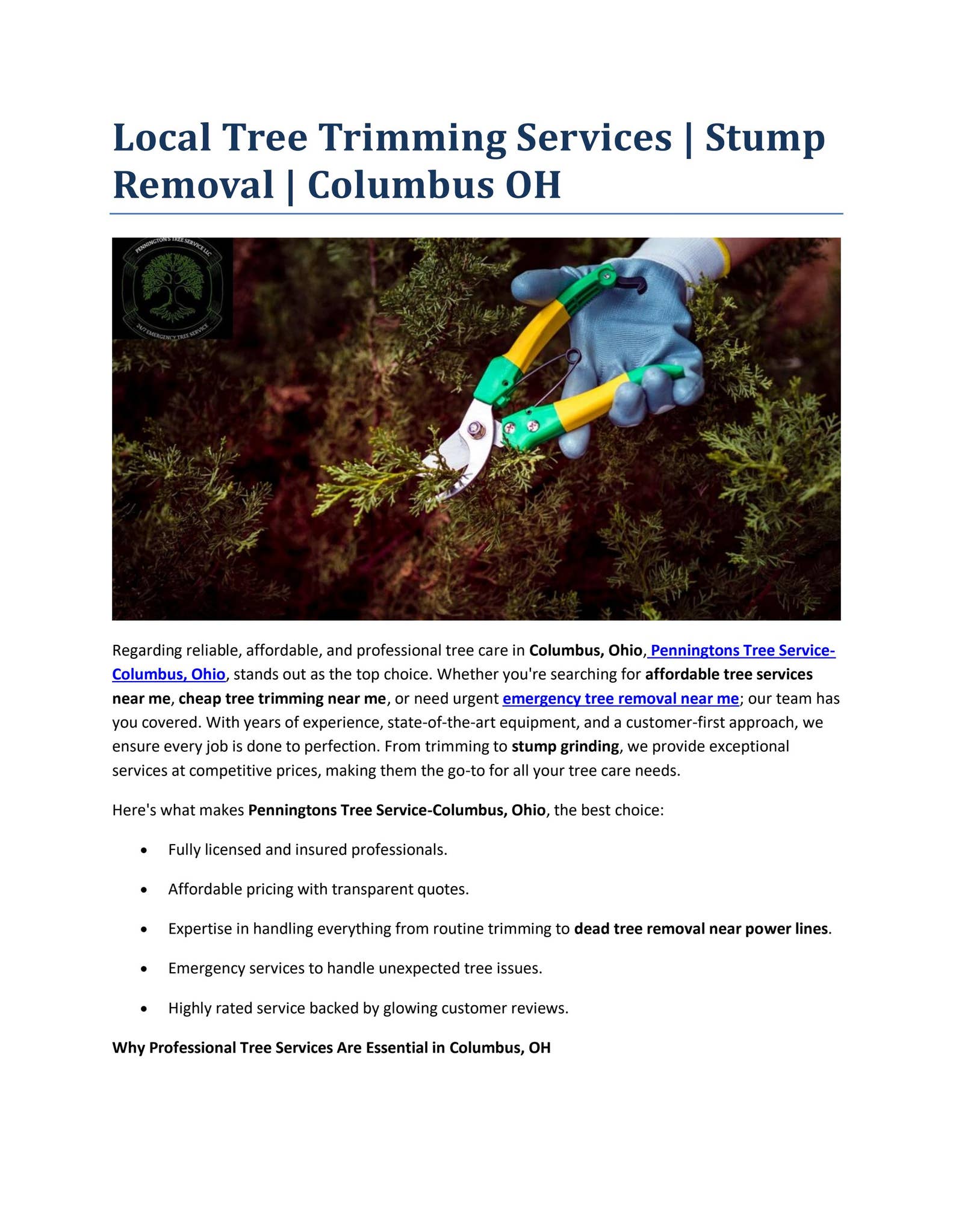 Local Tree Trimming Services | Stump Removal | Columbus OH by Digi Era ...