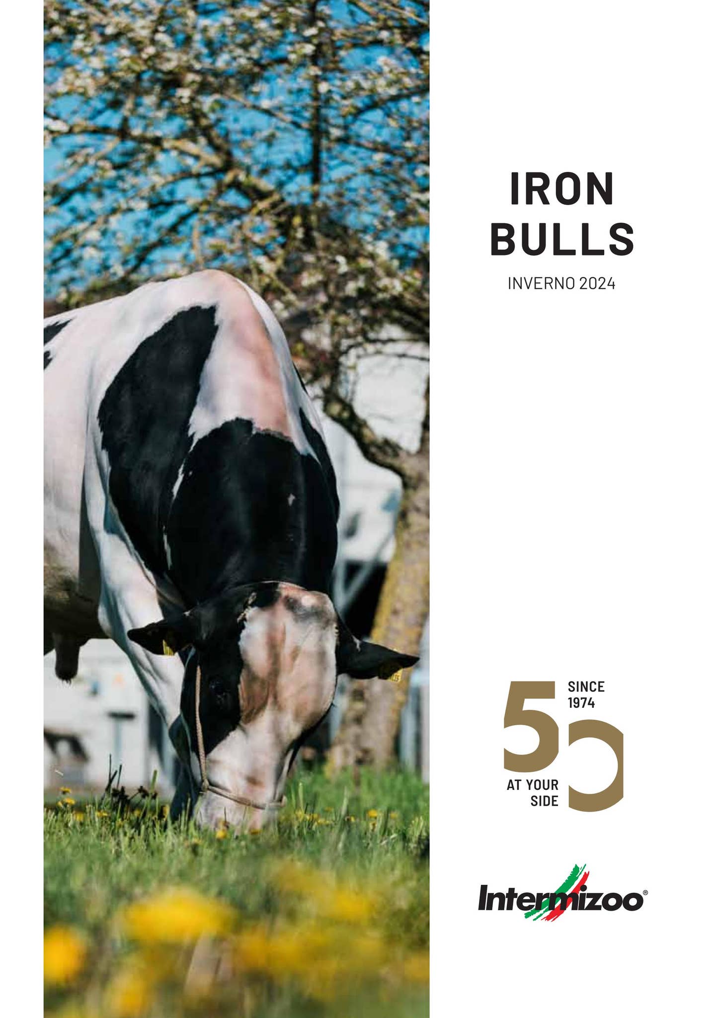 Iron Bulls - Inverno 2024 by Intermizoo - Issuu