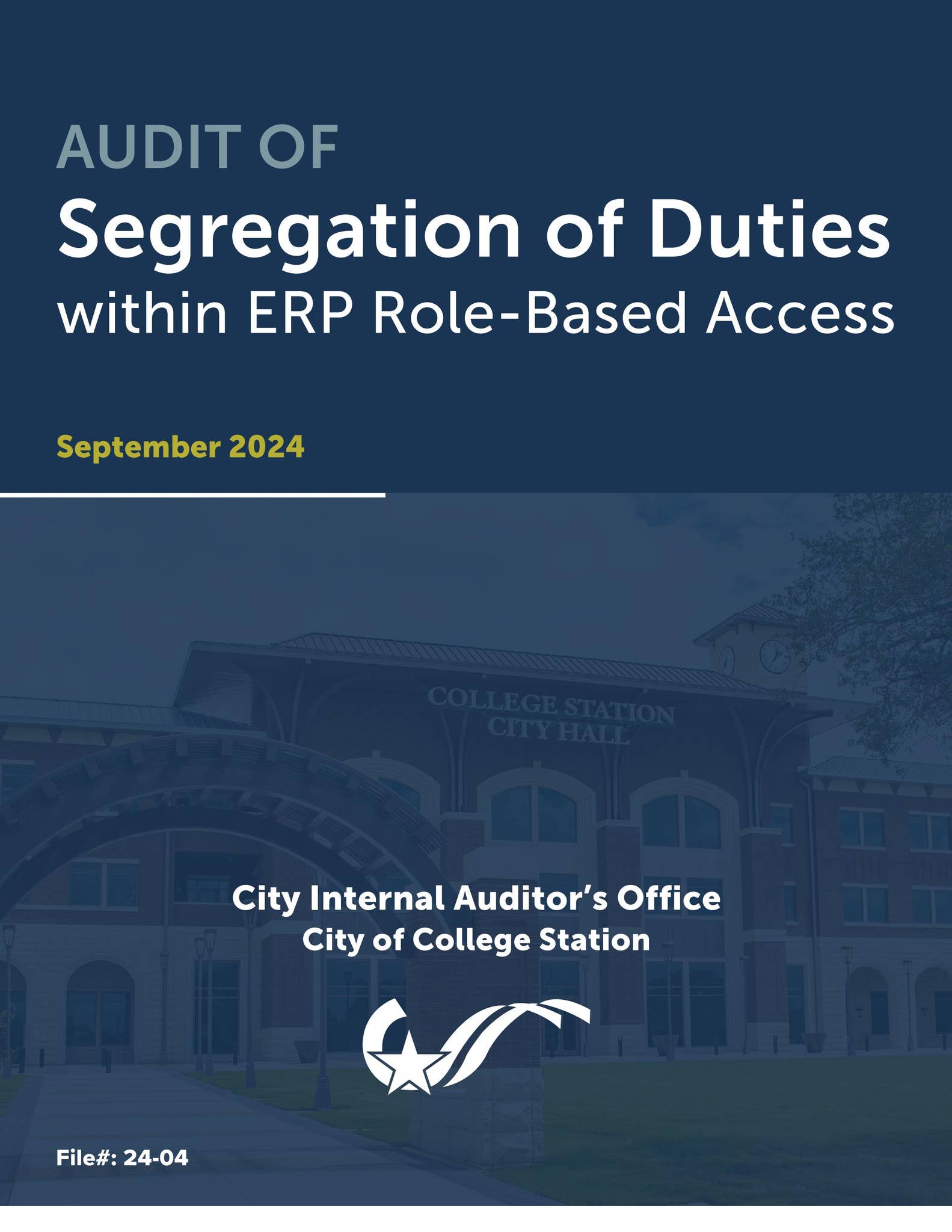 Audit of Segregation of Duties within ERP Roles Based Access by City of ...