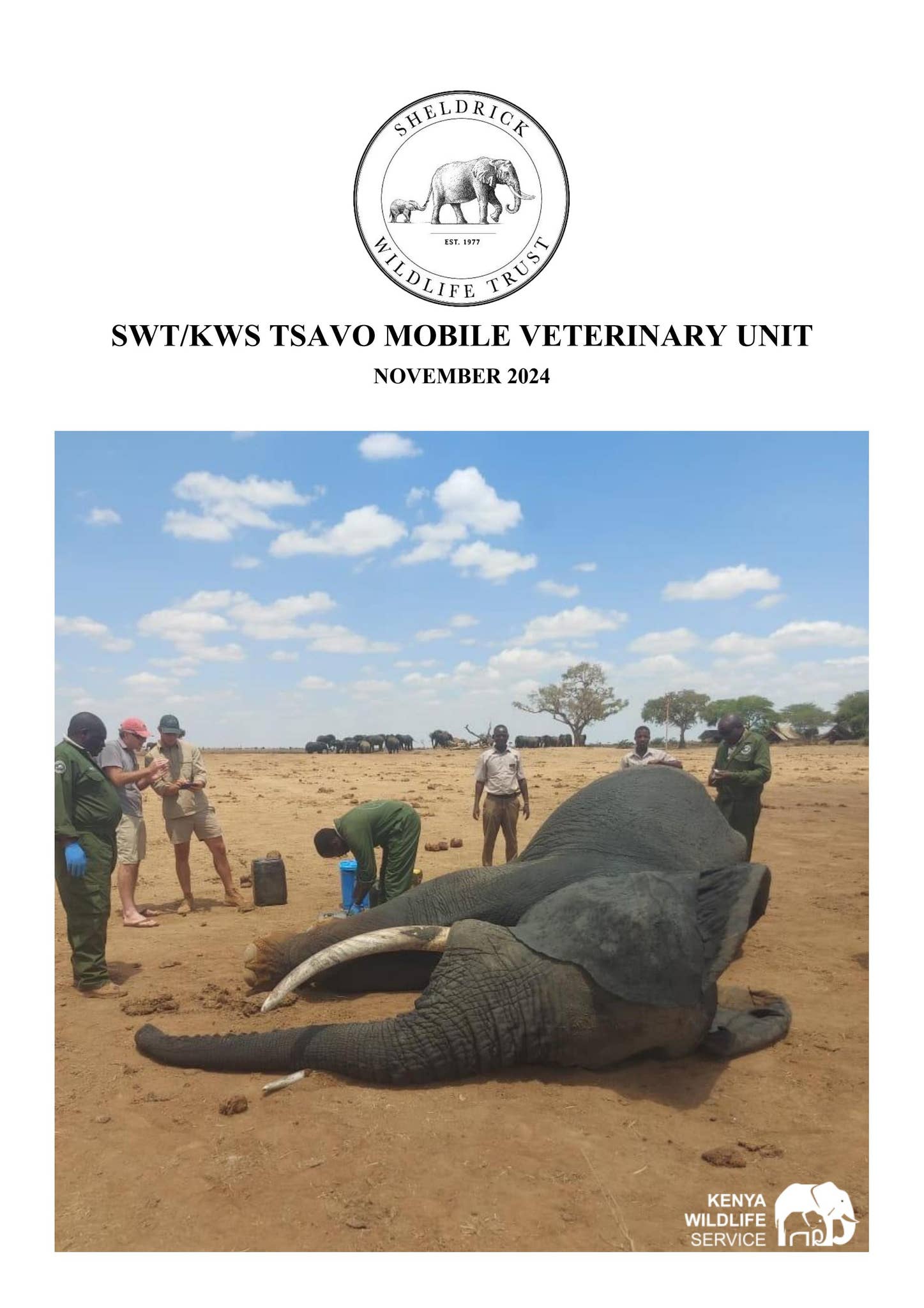 SWT/KWS Tsavo Mobile Veterinary Report for November 2024 by Sheldrick ...