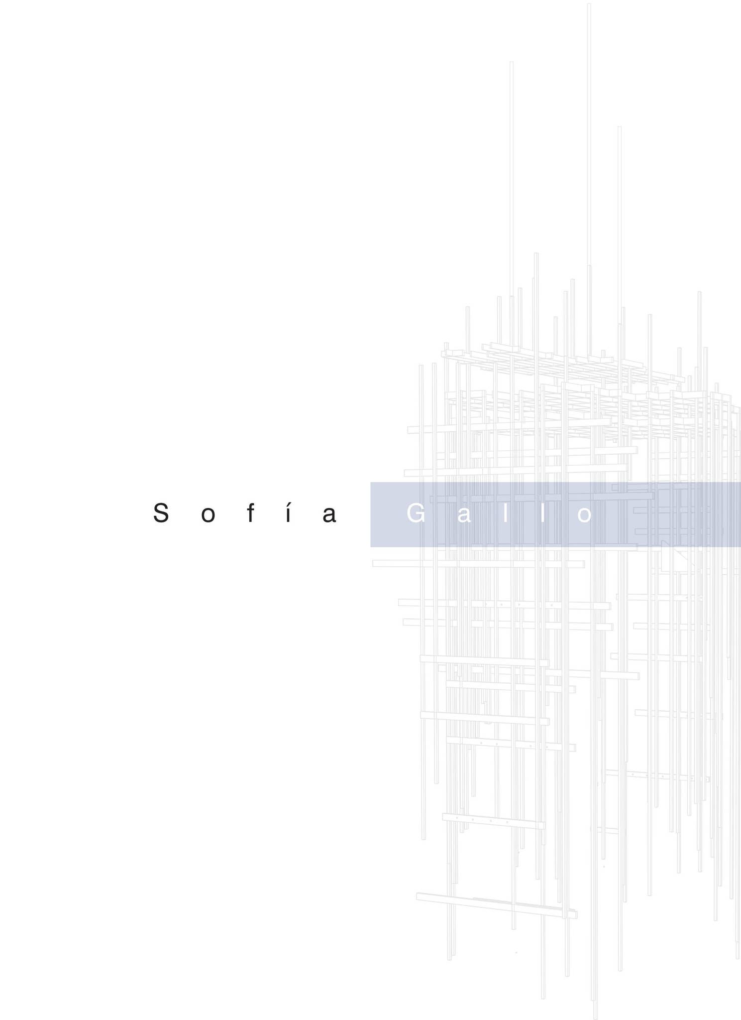 Sofia Gallo Portfolio 2025 by Sofia_Gallo - Issuu