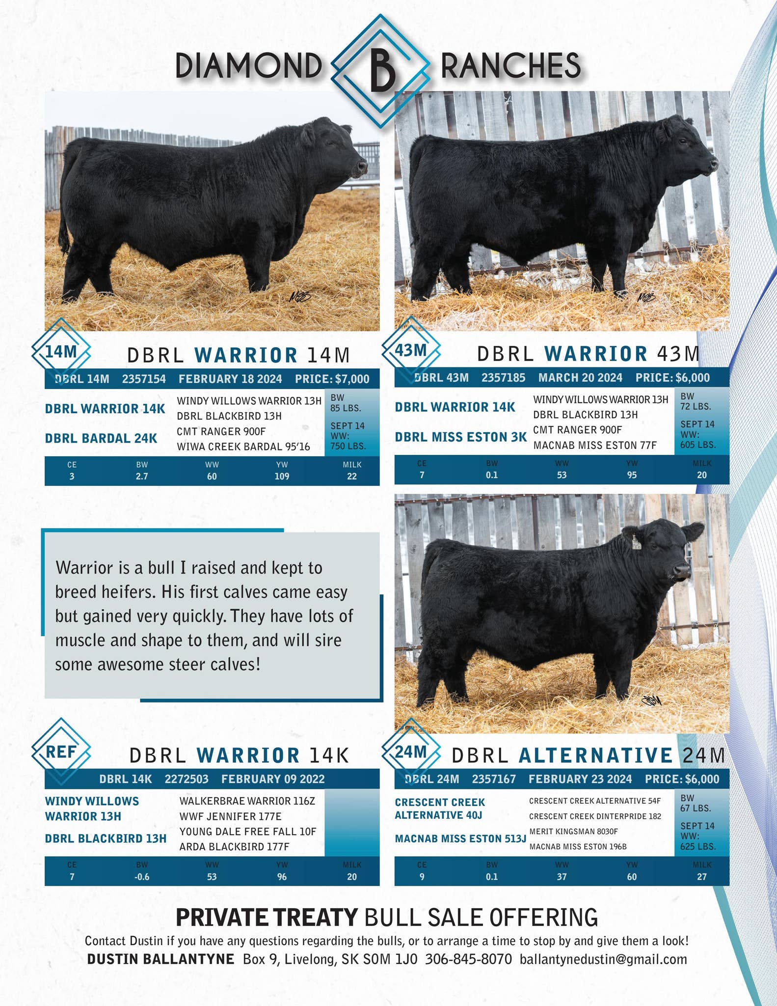 Diamond B Ranches Private Treaty Sale by Today's Publishing Inc. - Issuu