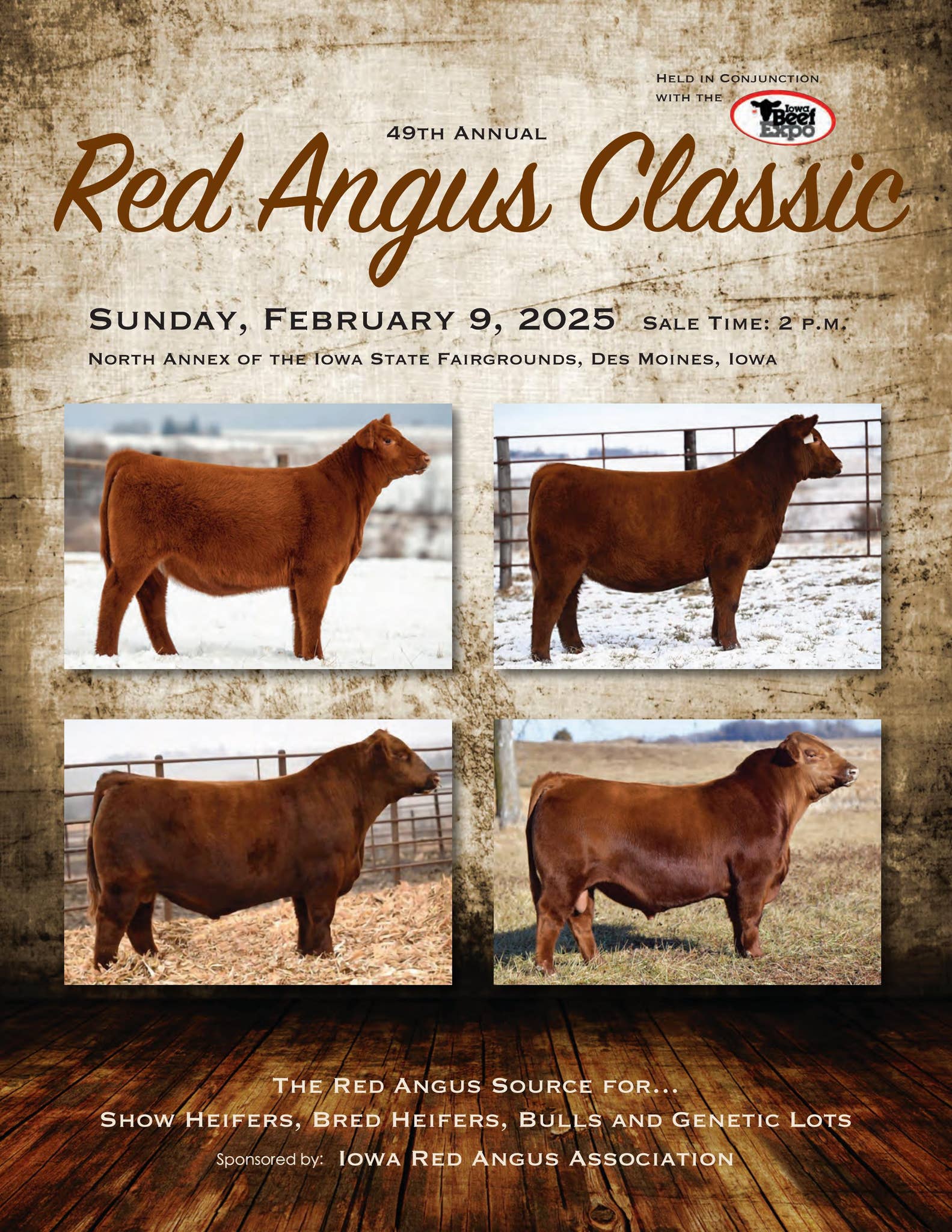49th Annual Red Angus Classic by LivestockDirect - Issuu