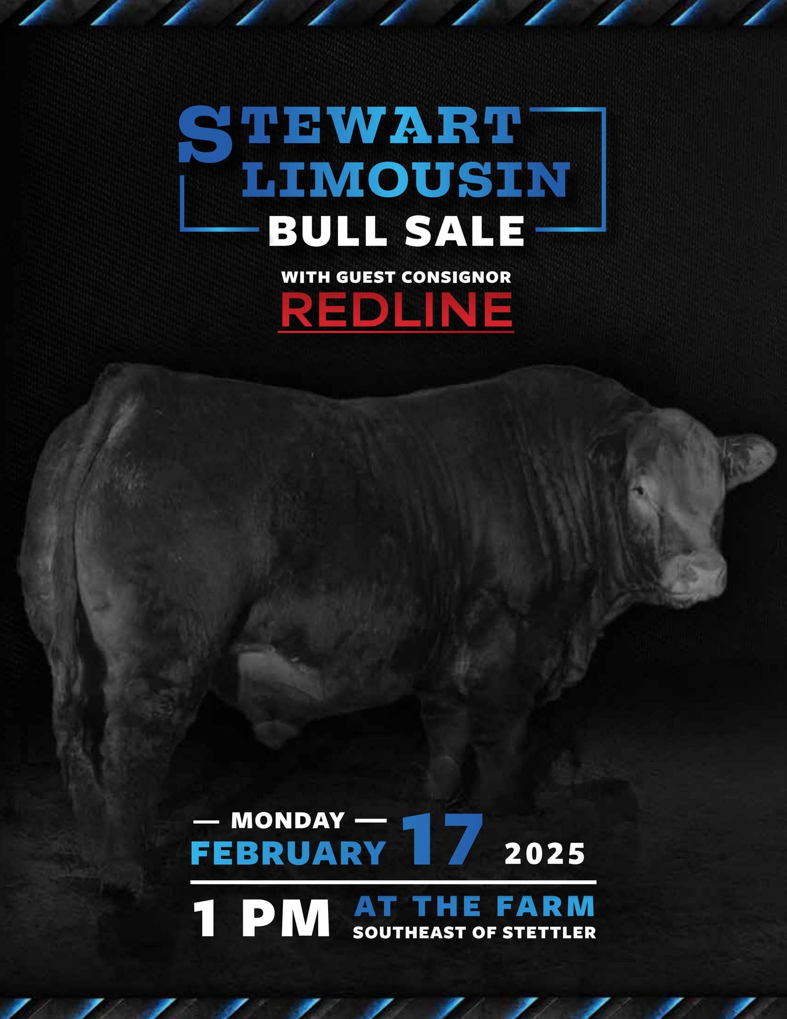 Stewart Limousin Bull Sale with guest consignor Redline - Stettler AB ...