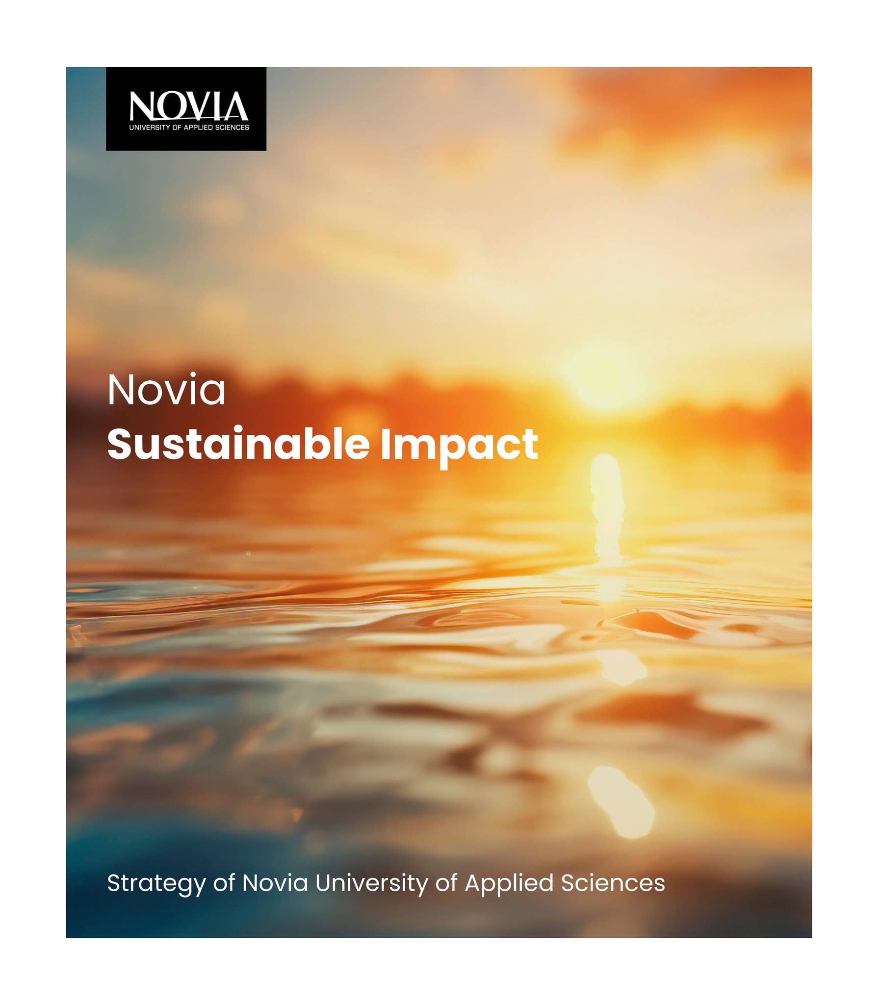 Novia University of Applied Sciences 2030 - Strategy for Novia UAS by ...