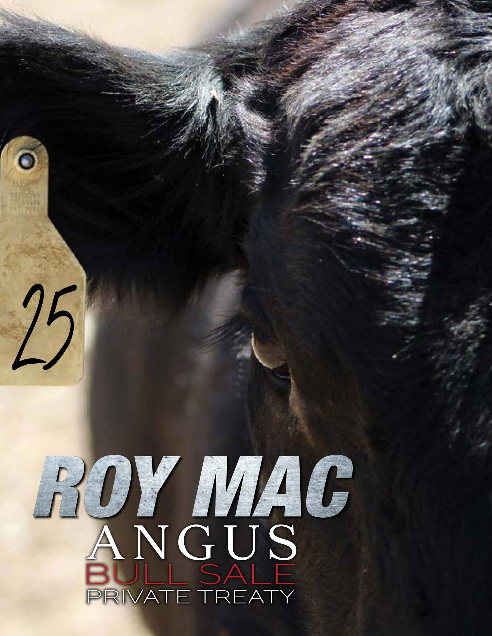 Roy Mac Angus Private Treaty Bull Sale by Today's Publishing Inc. - Issuu