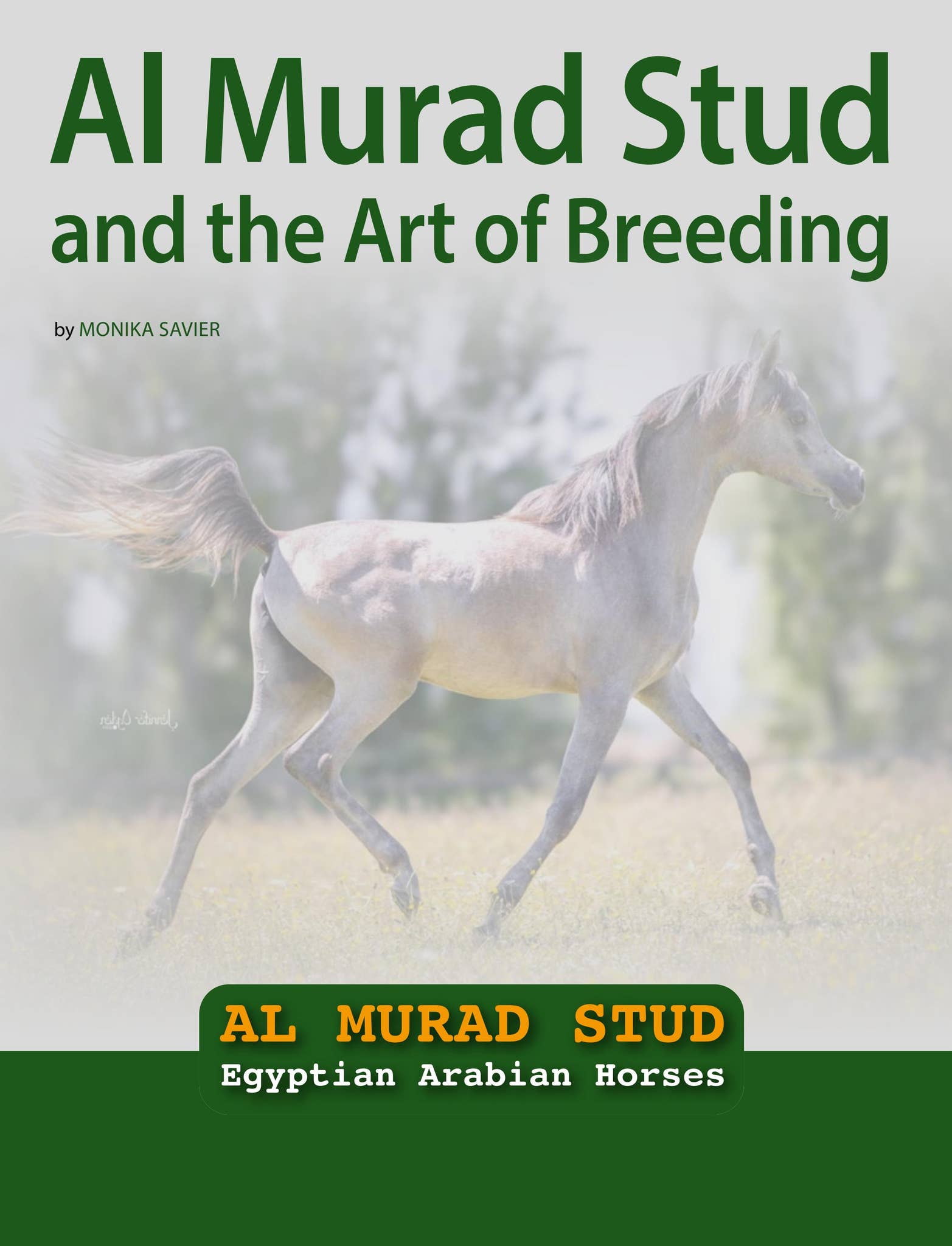 Al Murad Stud by Alim editrice - Issuu