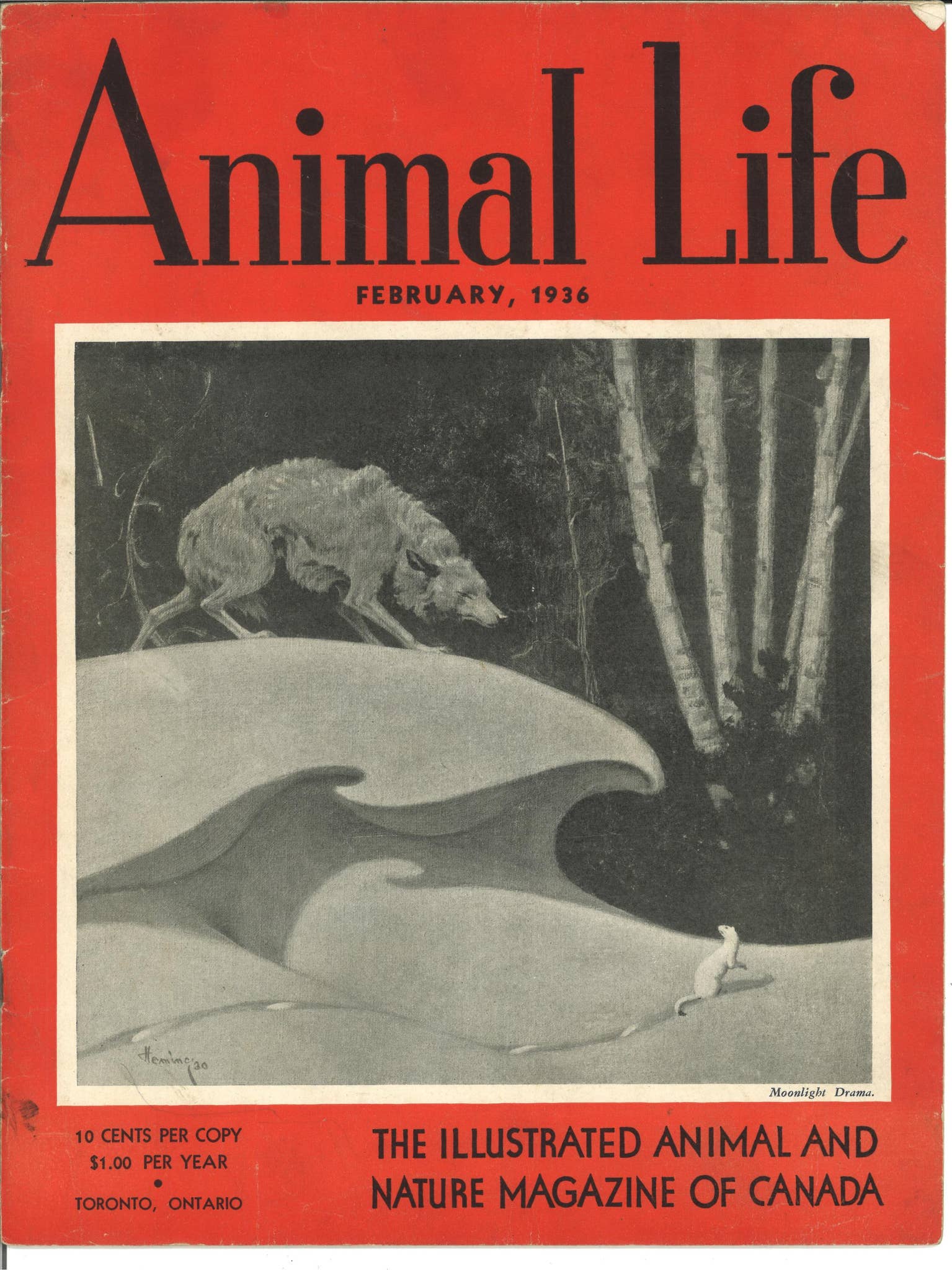 Animal Life February - 1936 by torontohumanesociety - Issuu