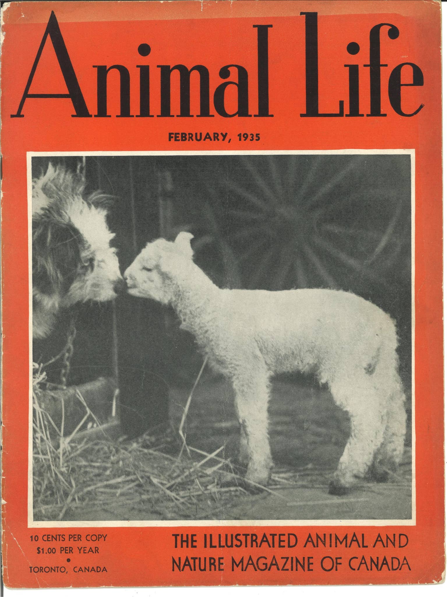 Animal Life February - 1935 by torontohumanesociety - Issuu