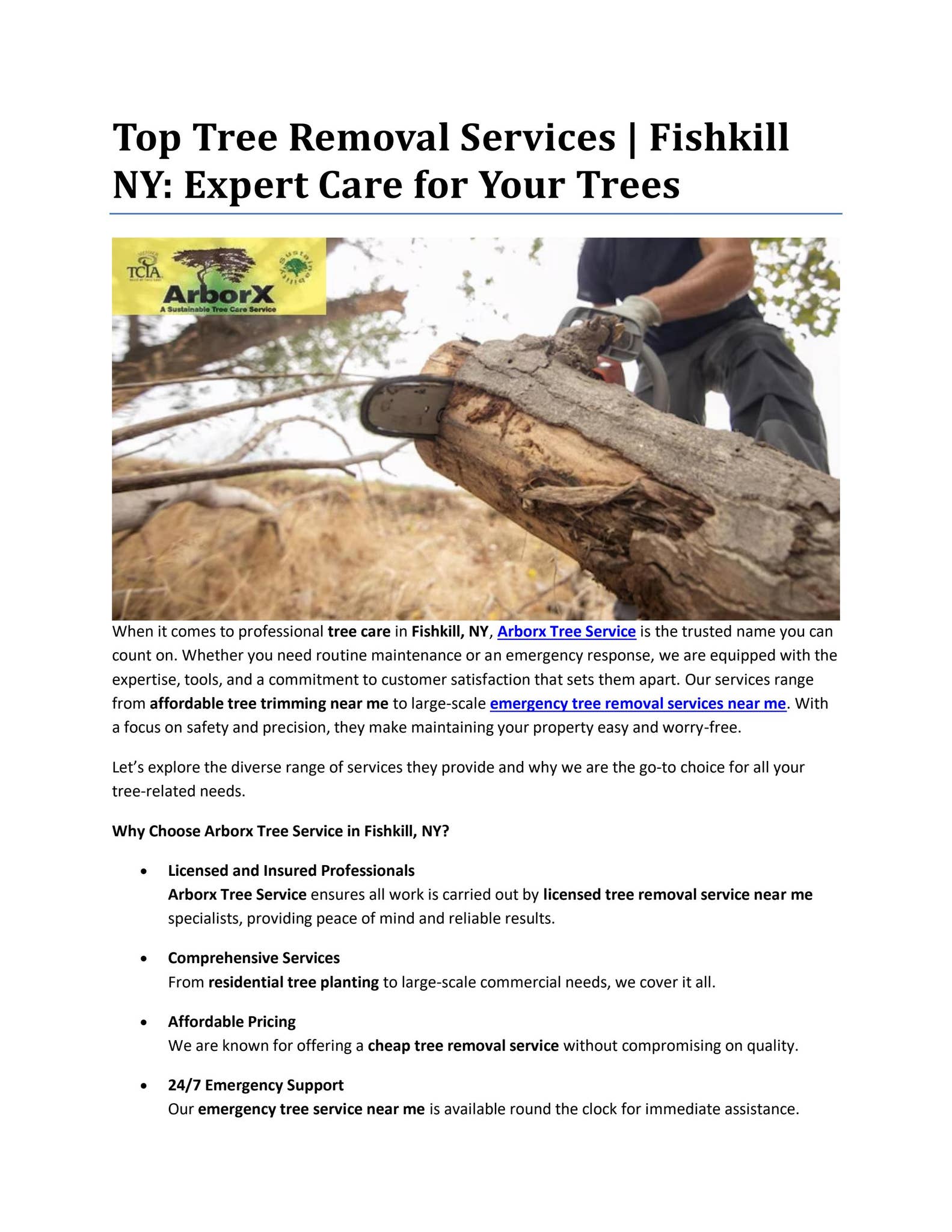 Top Tree Removal Services | Fishkill NY: Expert Care for Your Trees by ...