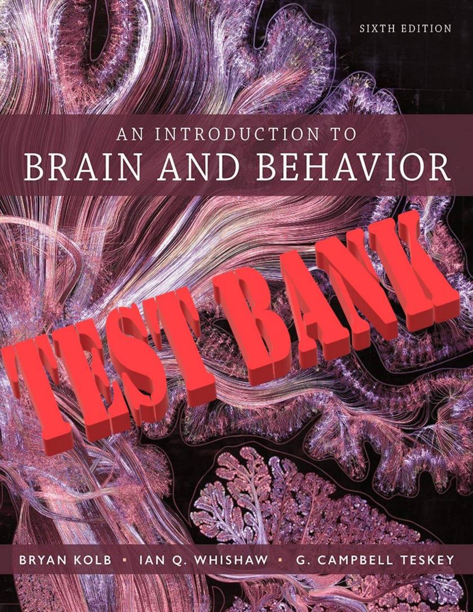 An Introduction to Brain and Behavior 6th Edition Bryan Kolb, Ian Q ...