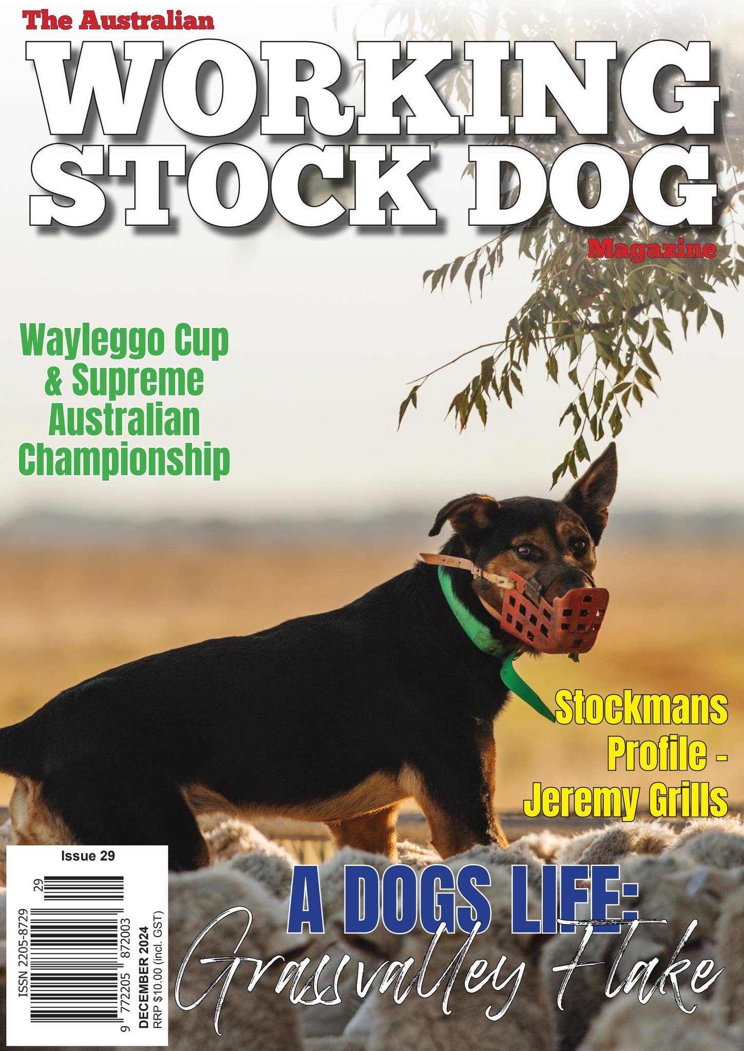 Australian Working Stock Dog Magazine - Issue 29, December 2024 by ...