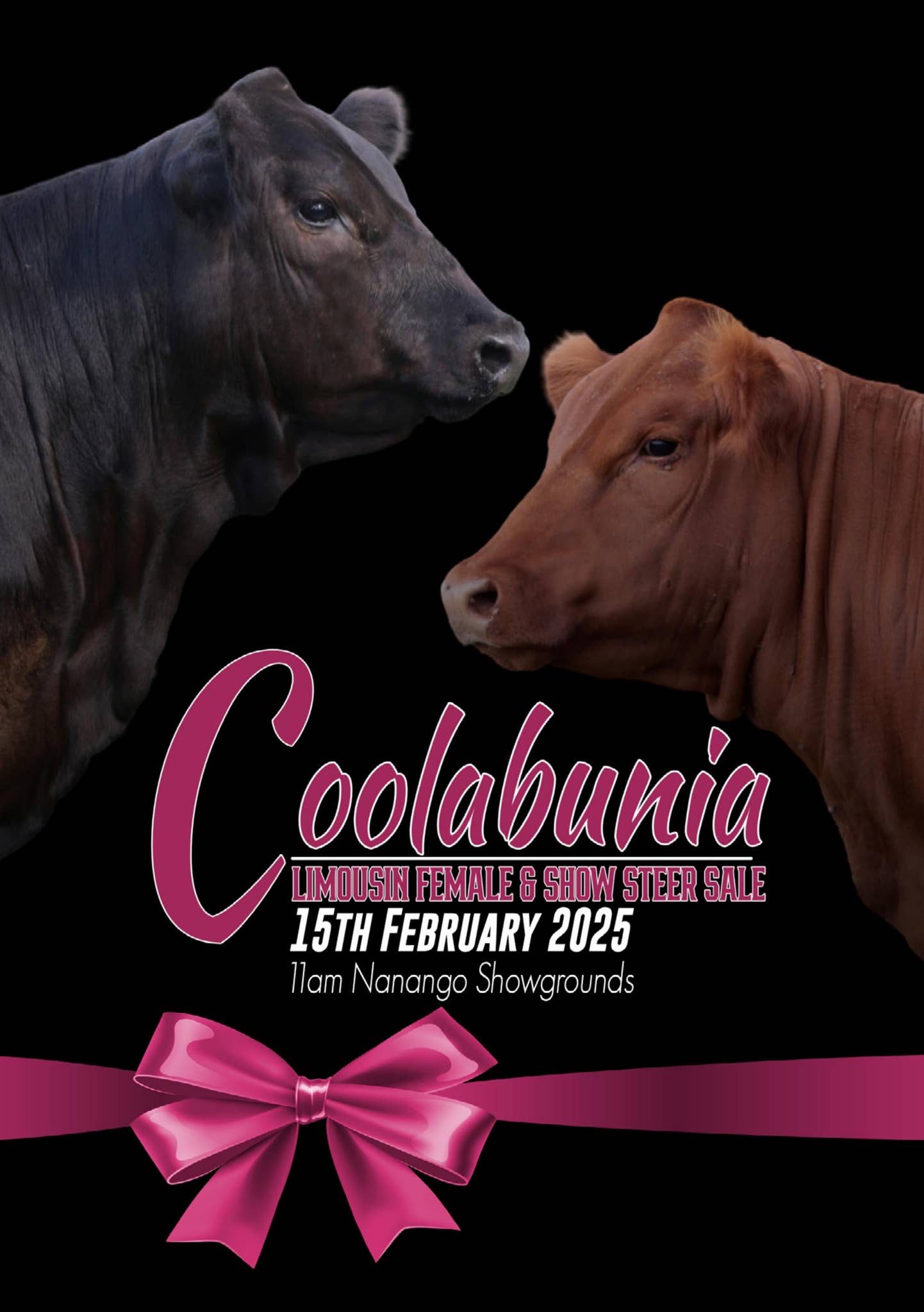 Coolabunia Limousin Female & Show Steer Sale 2025 by Five Star Creative ...
