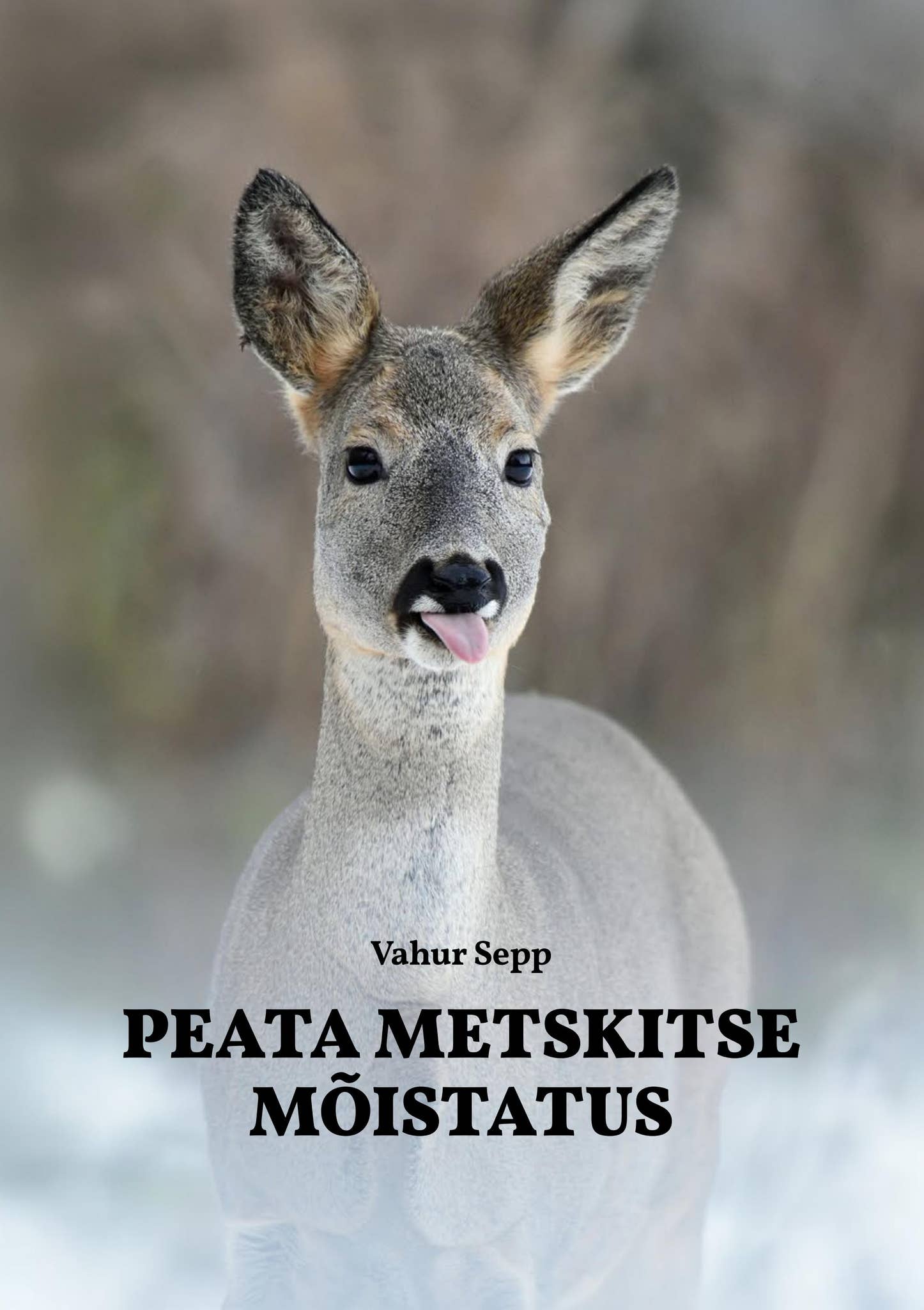 Peata metskitse mõistatus by Apollo Raamatud - Issuu