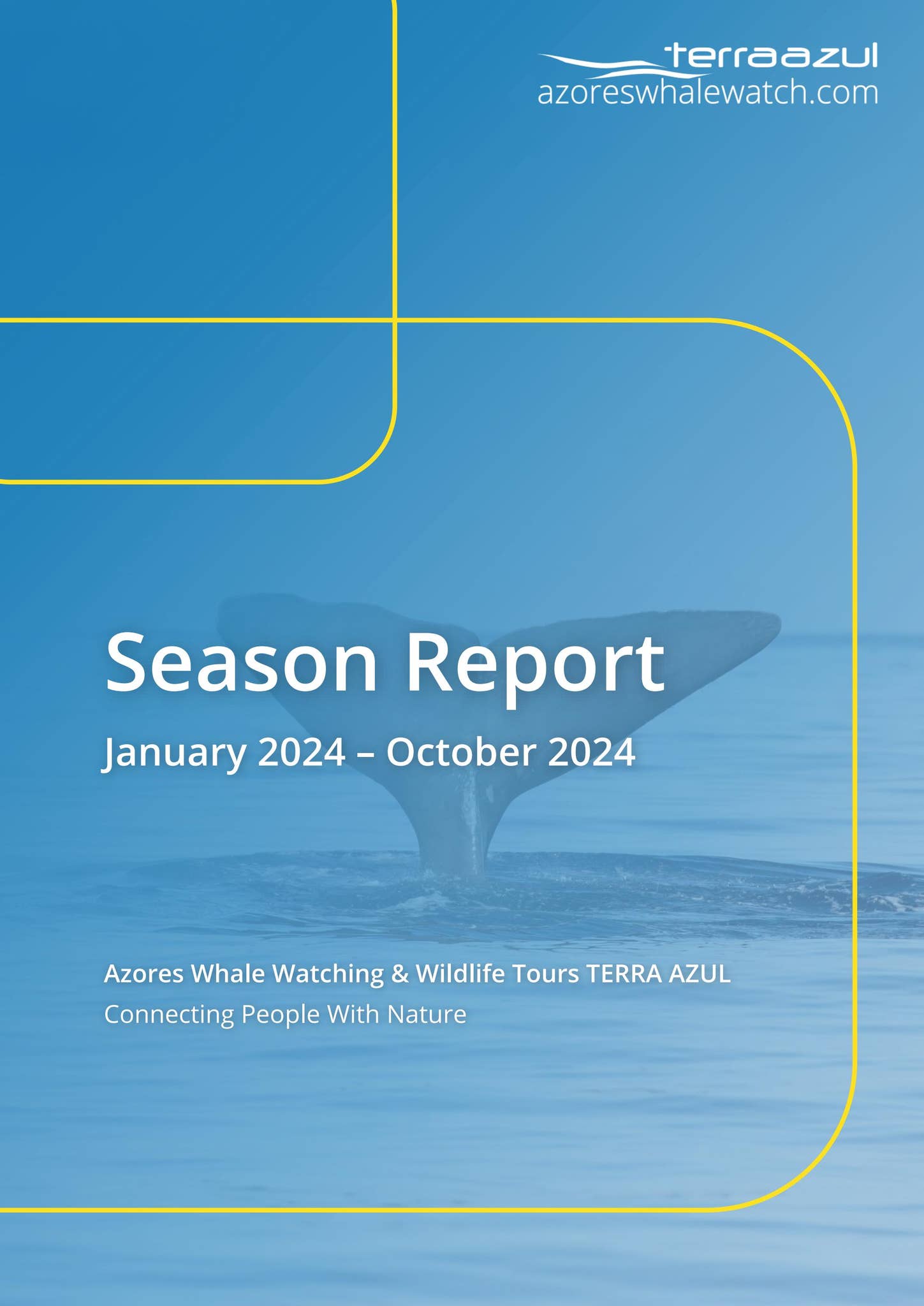 TERRA AZUL Annual Report 2024 - Whales and Wildlife Sightings in Azores ...