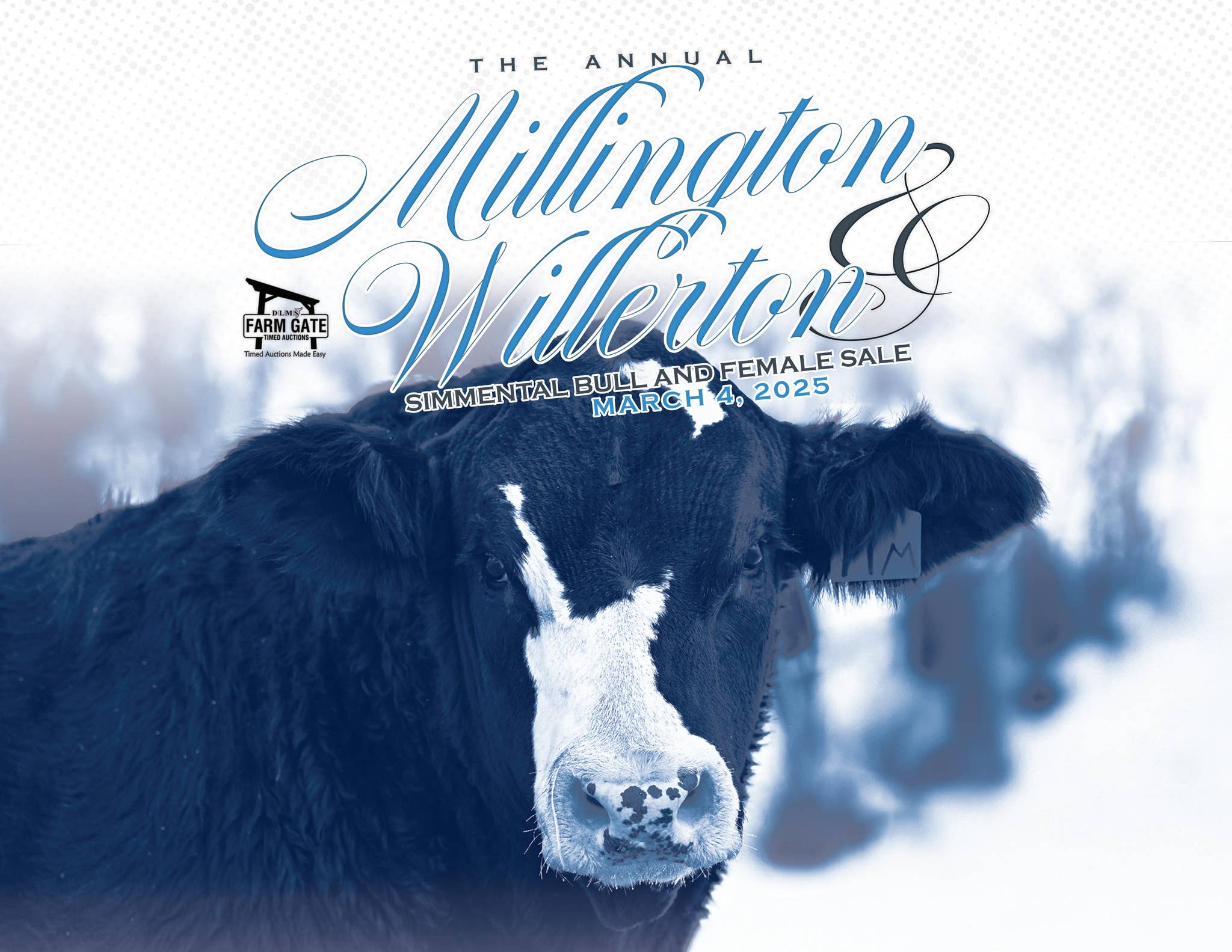 Millington/Willerton Online Bull Sale 2025 by Bohrson Marketing ...