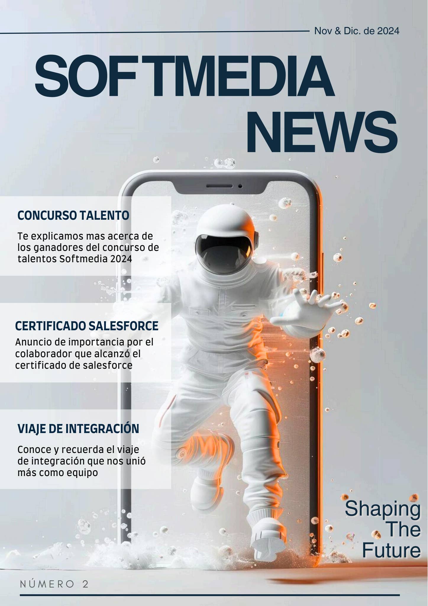 NOV-DIC newsletter Softmediaforce by softmediaconsultores - Issuu