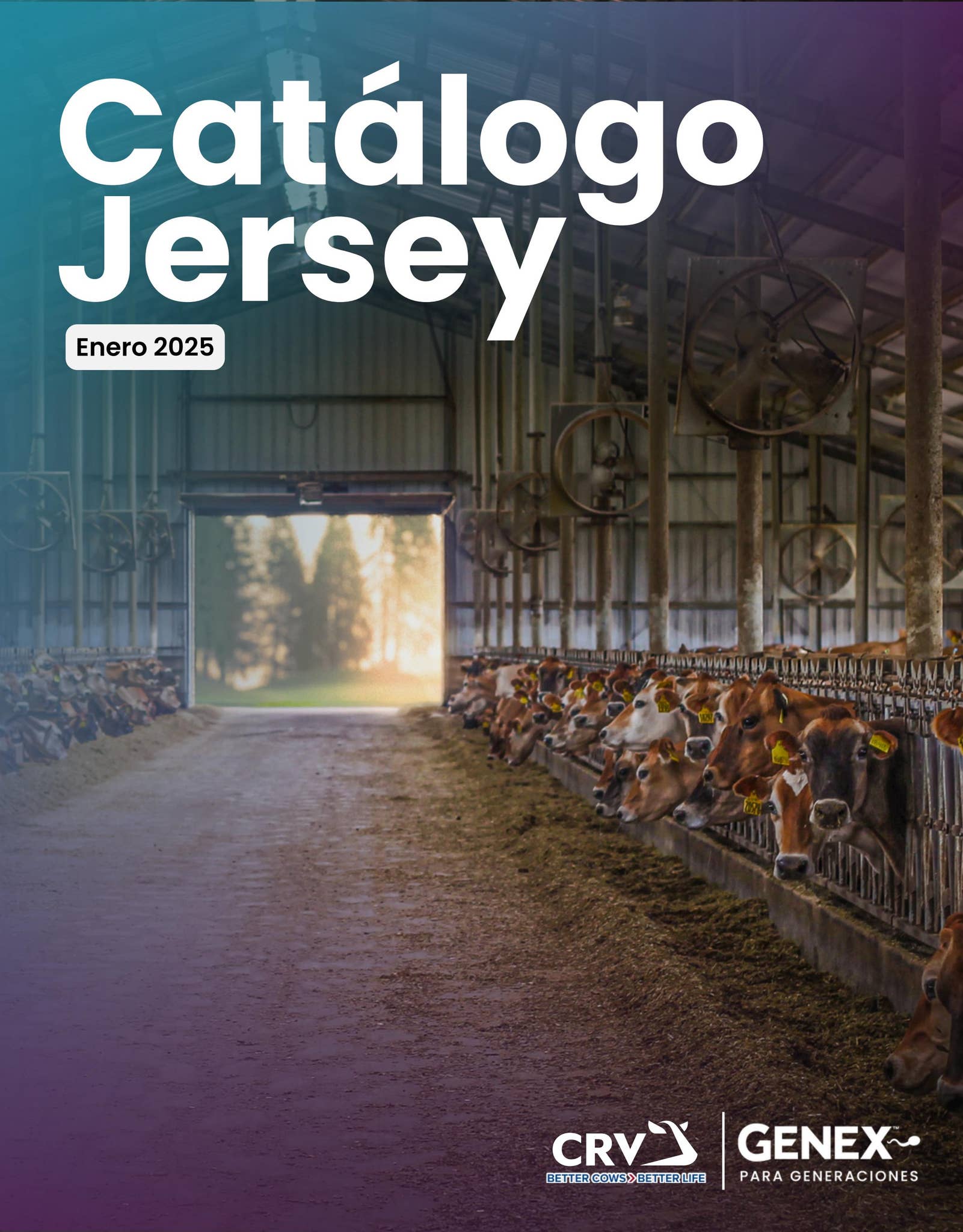 Catálogo Jersey Enero 2025 by GENEX MEXICO - Issuu
