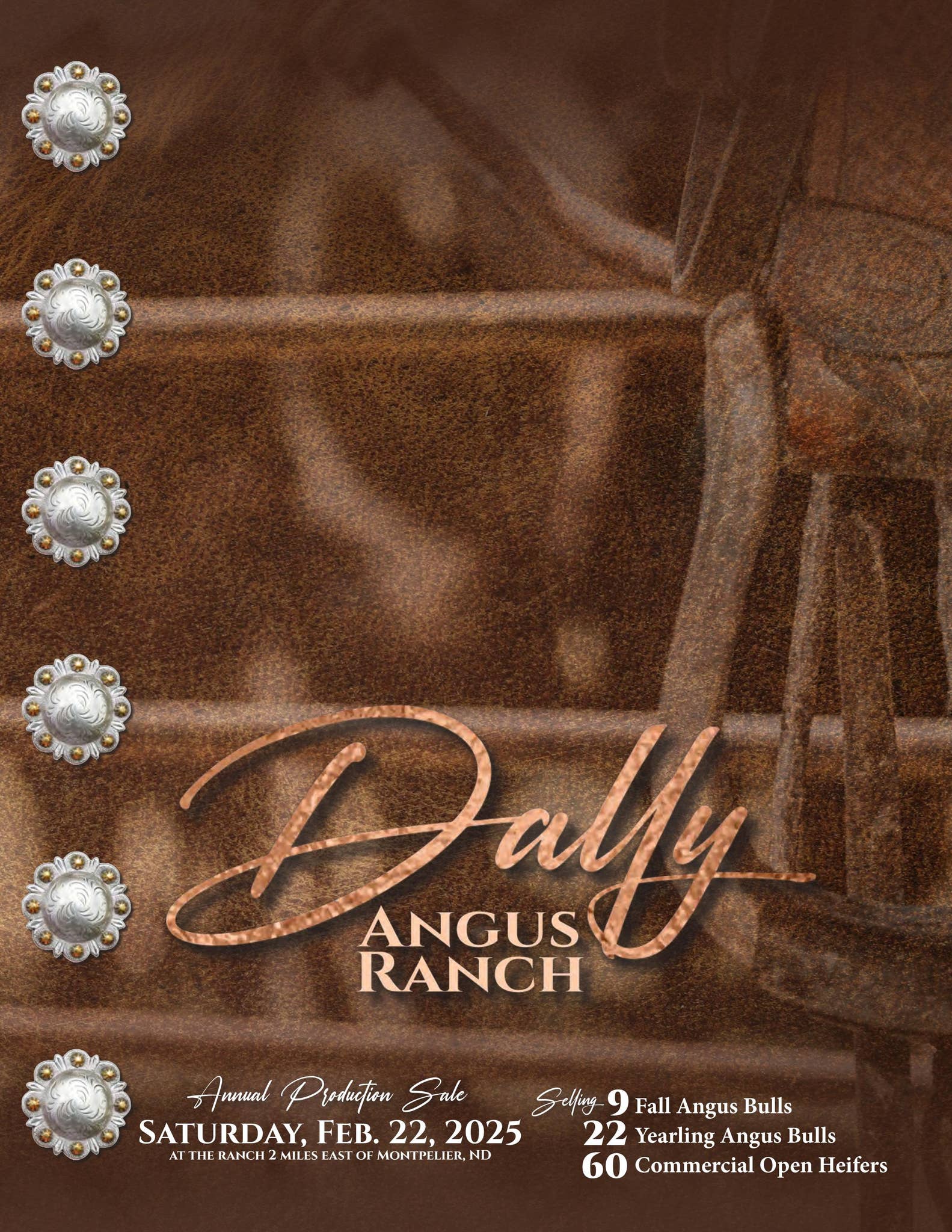 Dally Angus Ranch Annual Production Sale by LivestockDirect - Issuu