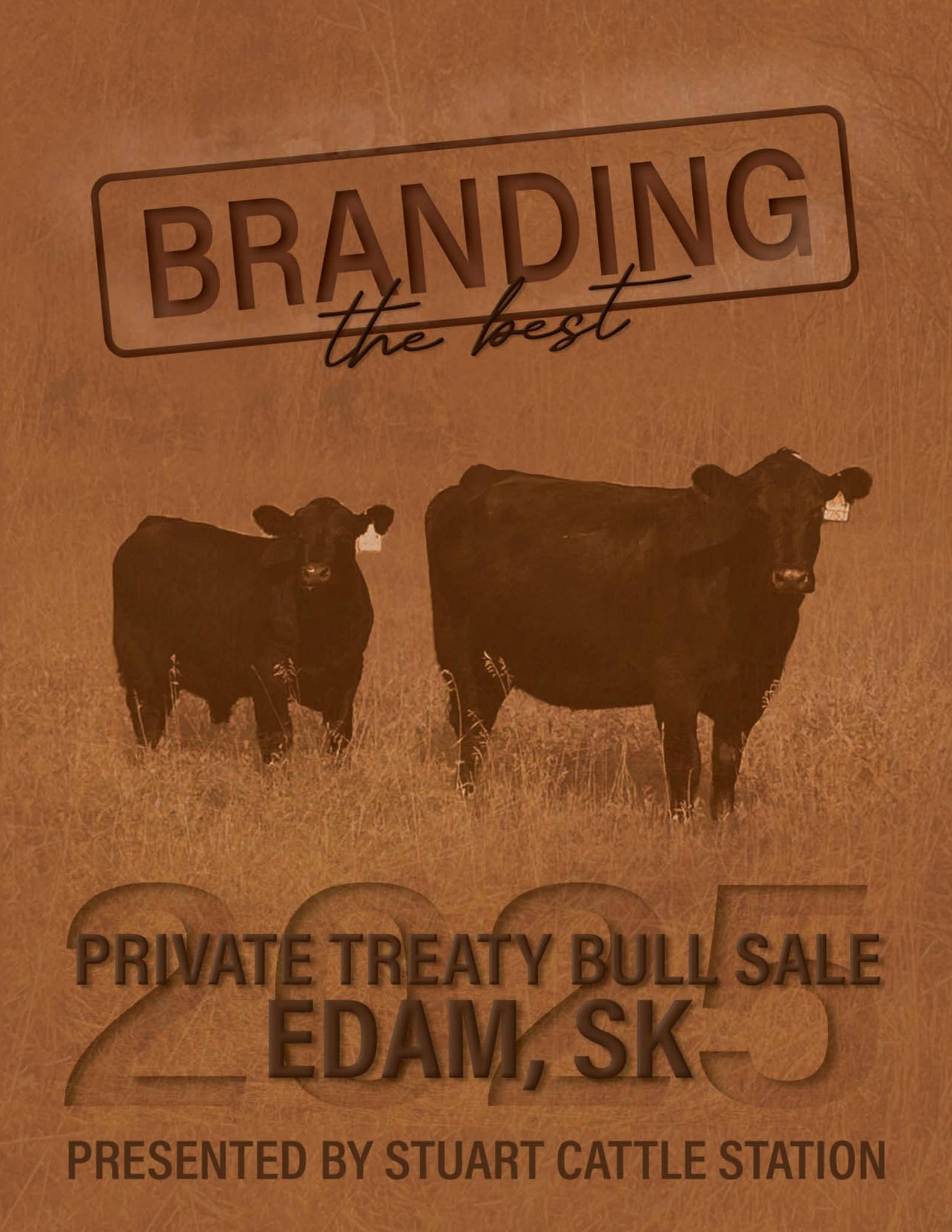 Stuart Cattle Station Private Treaty Bull Pen by Today's Publishing Inc ...