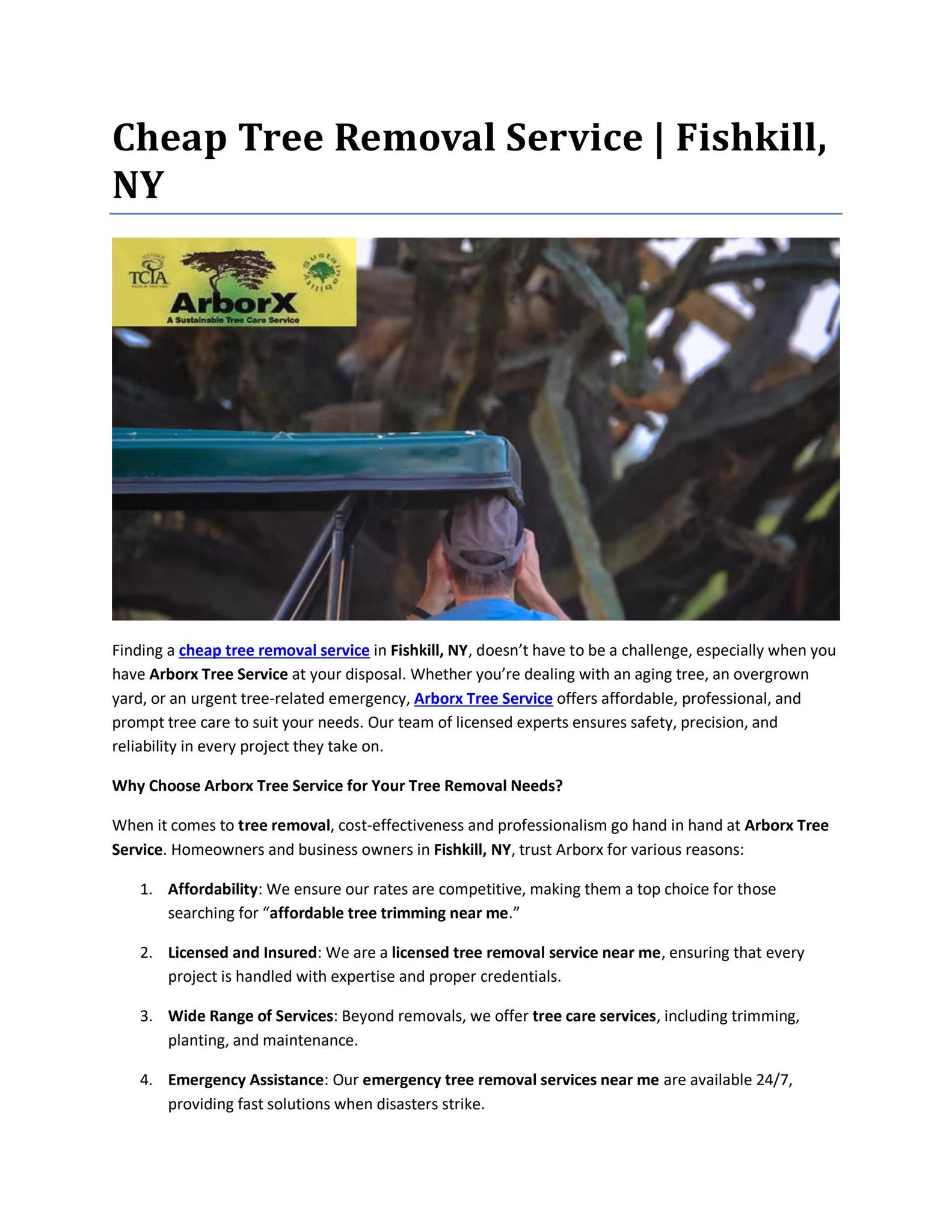 Cheap Tree Removal Service | Fishkill, NY by Digi Era Pro - Issuu