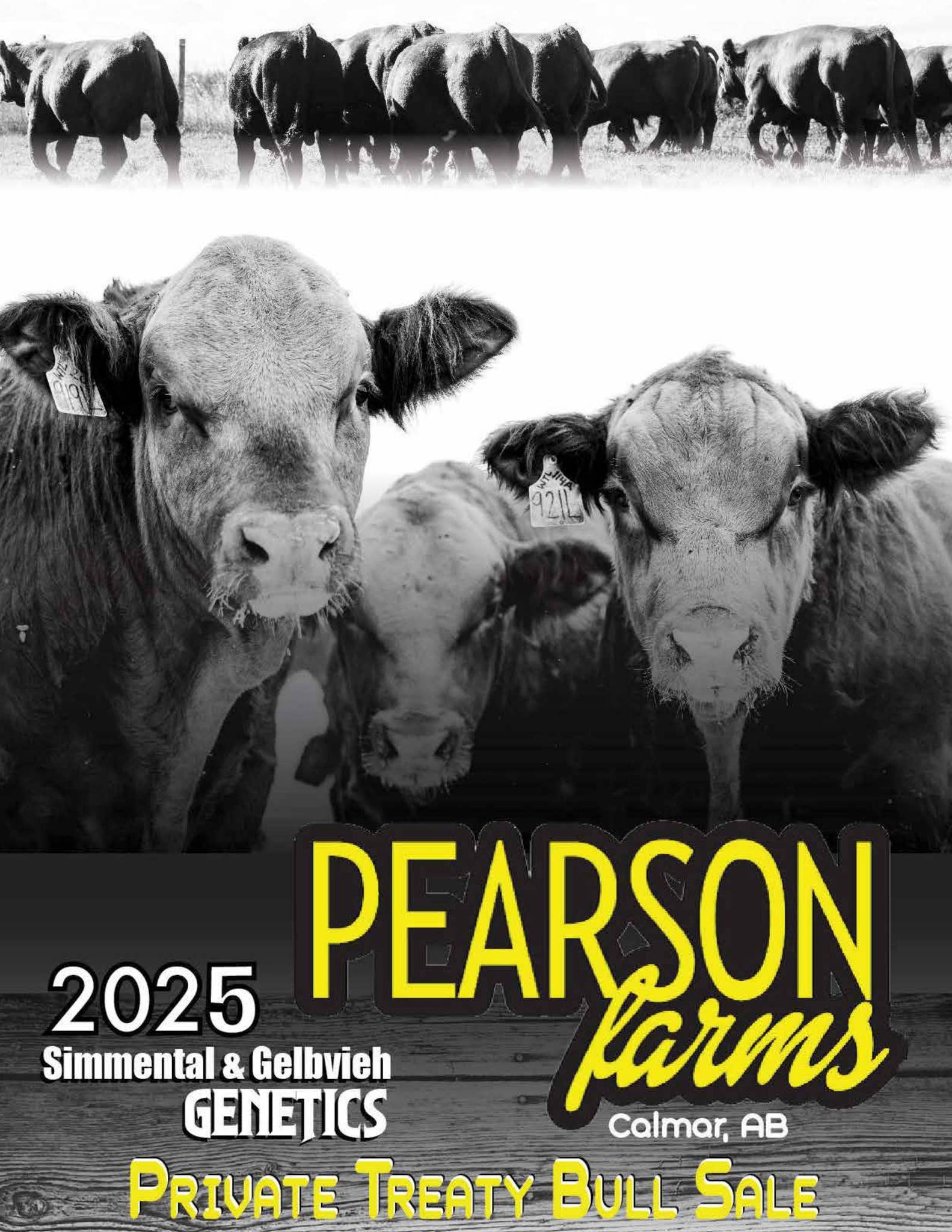 Pearson Farms 2025 Private Treaty by AgPlus Design - Issuu