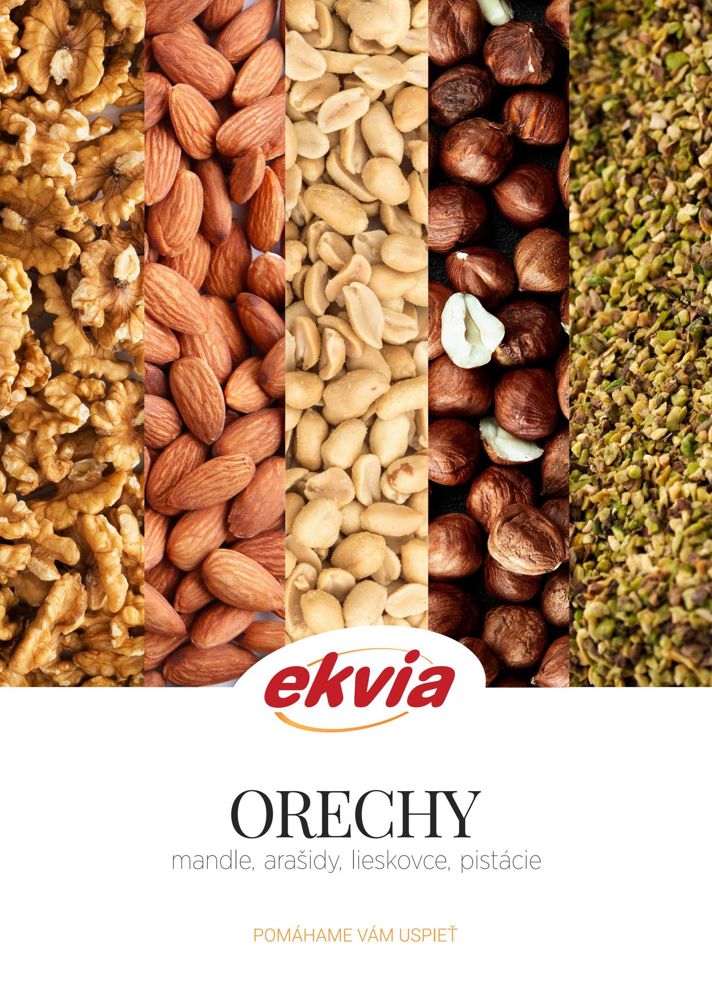 ORECHY by Ekvia a OFI Česko - Issuu