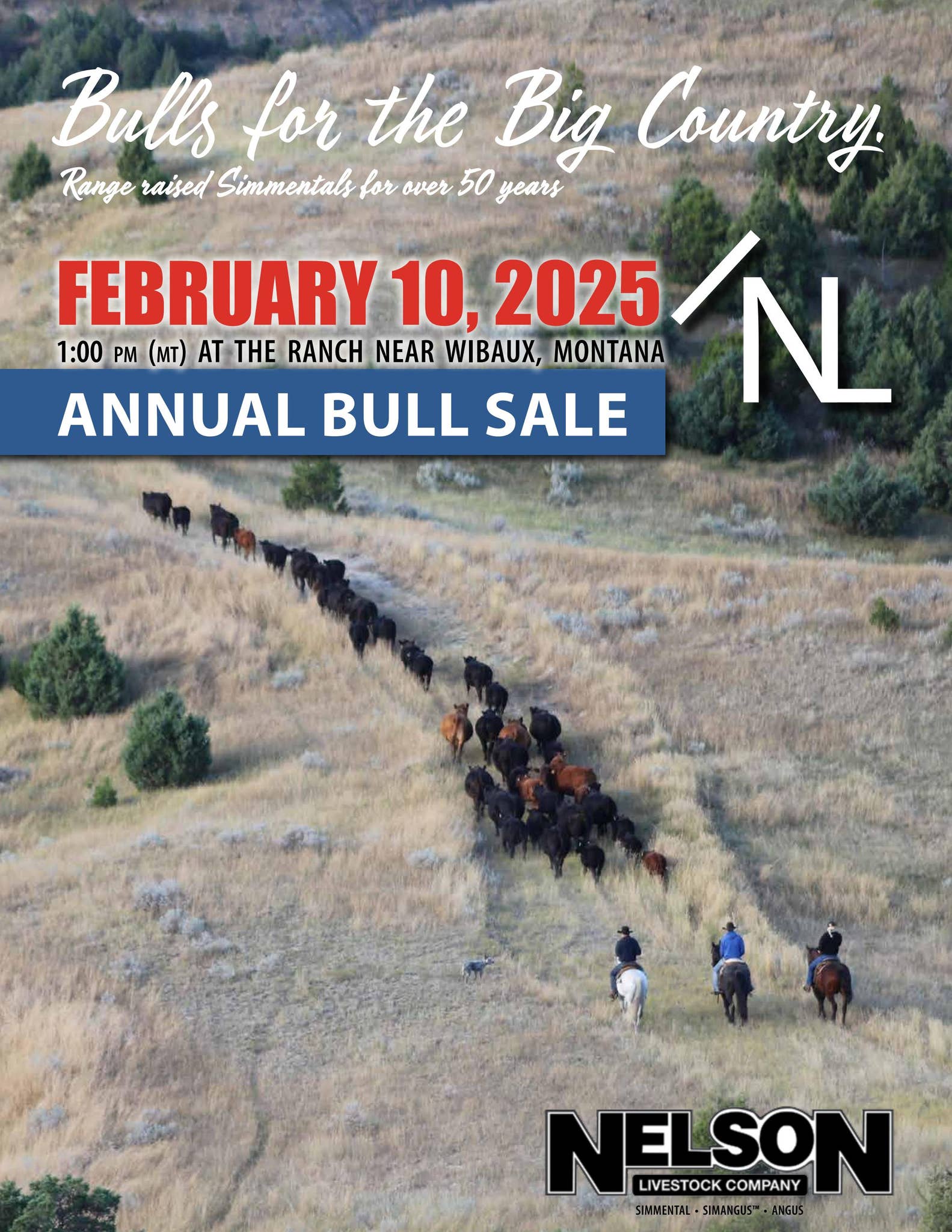 2025 Nelson Livestock Co Annual Bull Sale by Julie Murnin - Issuu