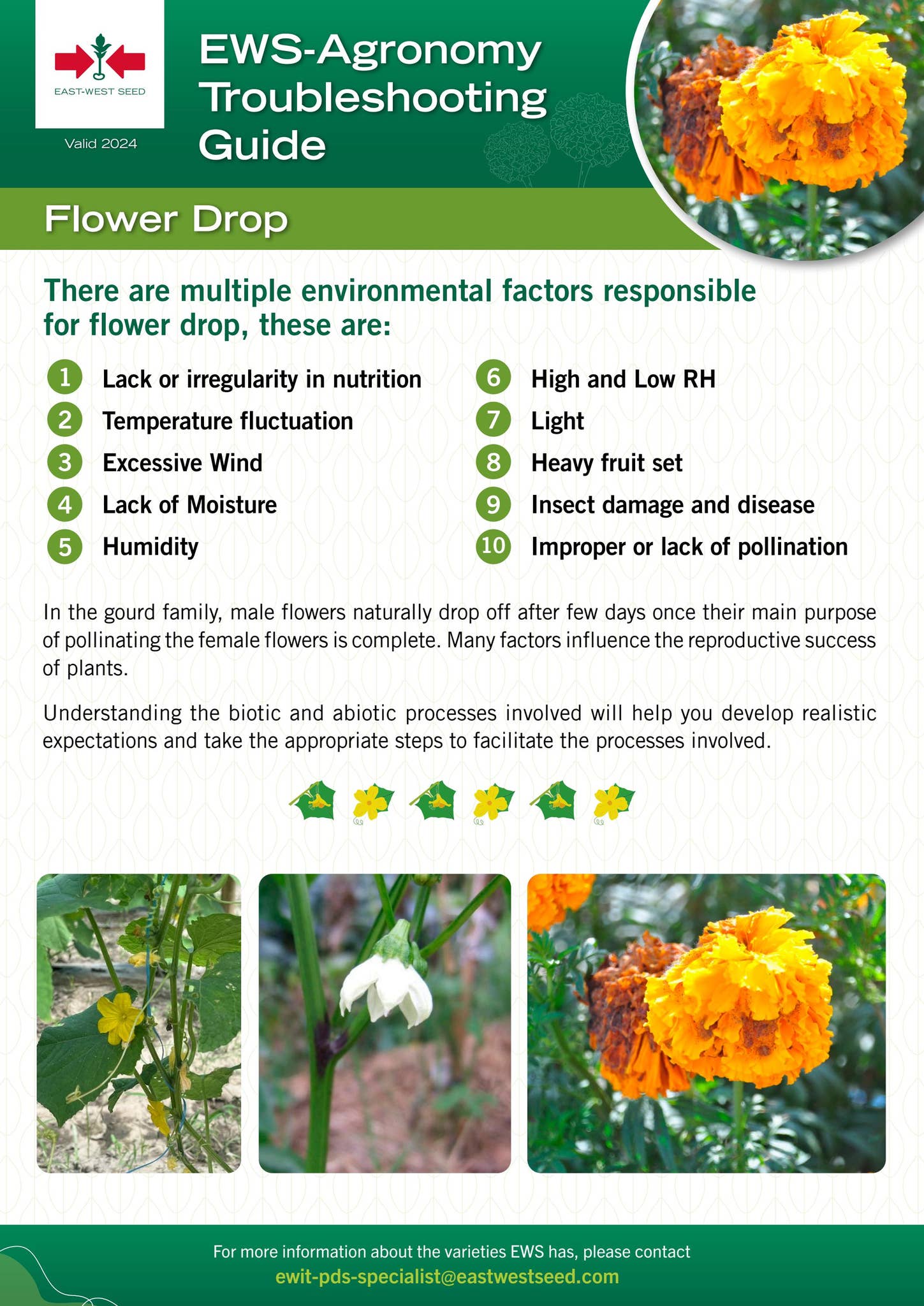 Flower drop - troubleshooting guide by East-West Seed by East-West Seed ...