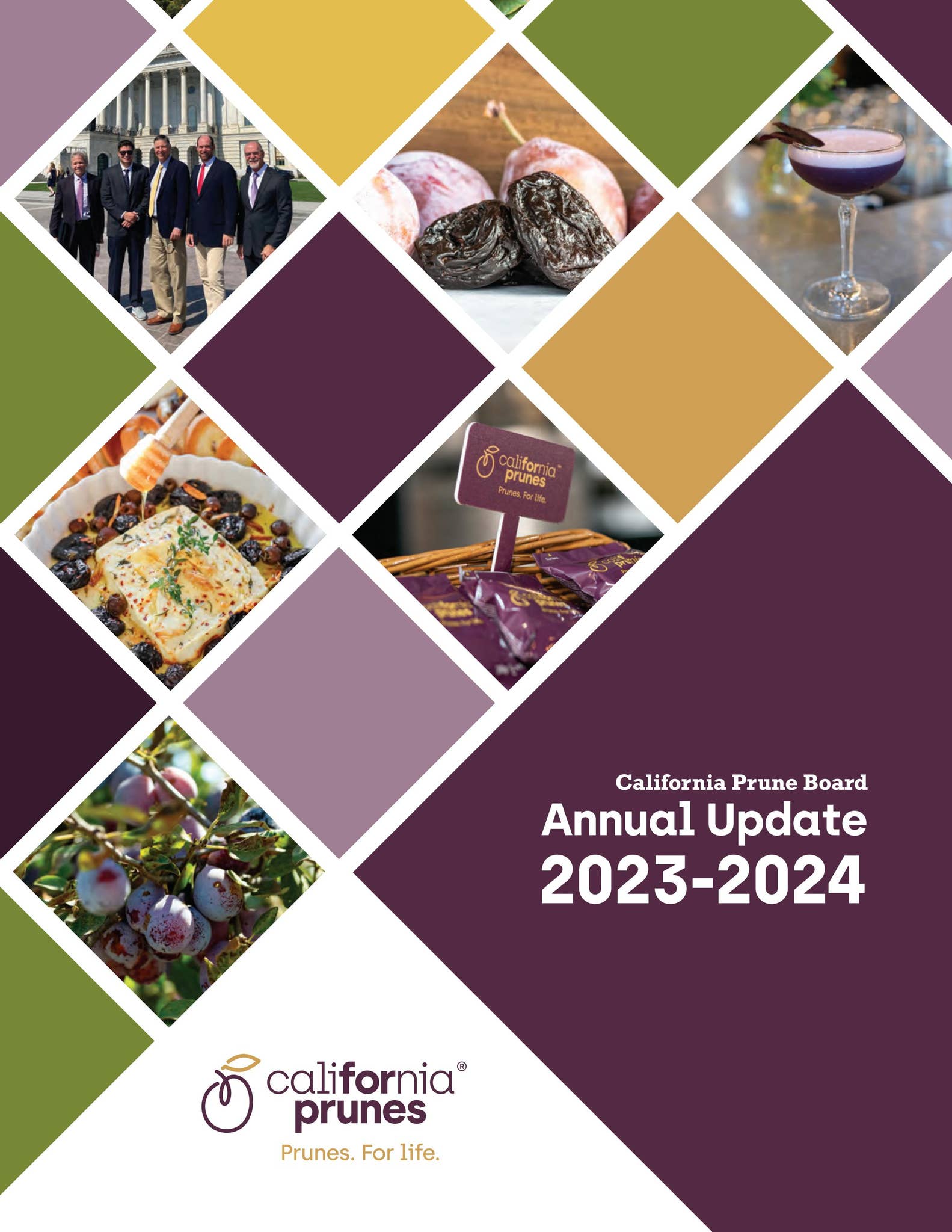 CA Prune Board Annual Update 2023-24 by NSTPR - Issuu