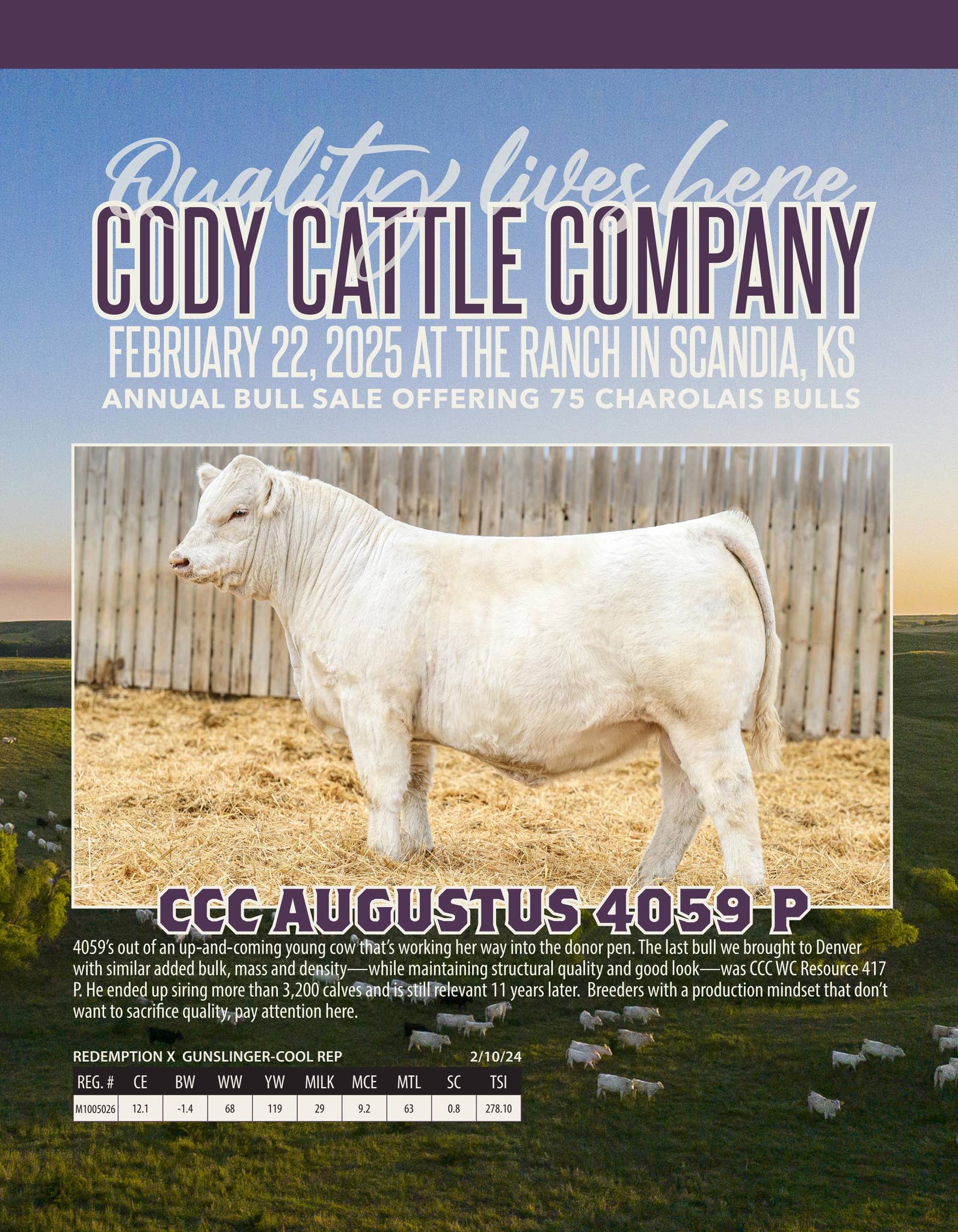 Cody Cattle Company 2025 Bull Sale Preview by Cody Cattle Company - Issuu