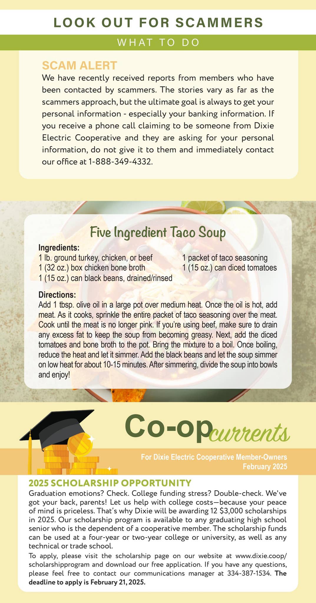 2025 February Dixie Electric Co-op Currents Bill Stuffer by Inside ...