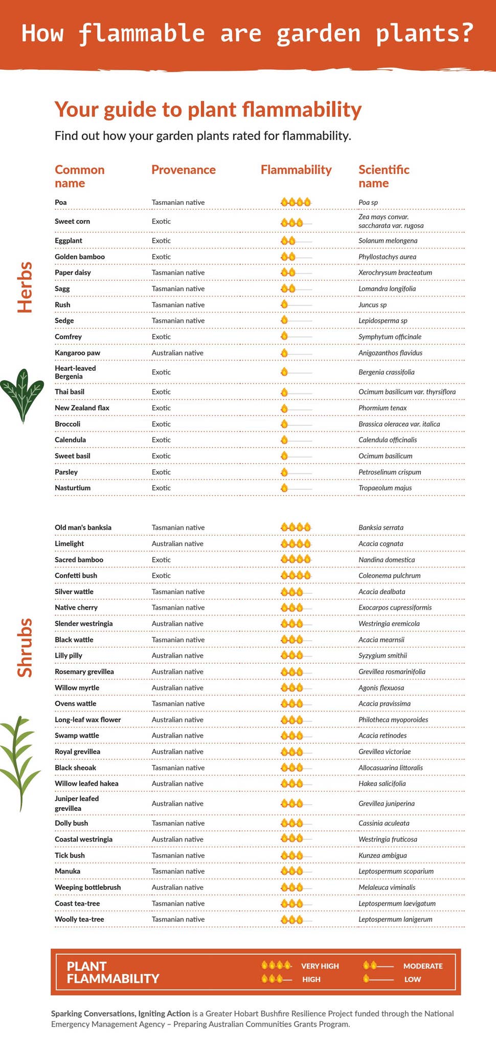 A guide to flammable garden plants - list of plants by City of Hobart ...