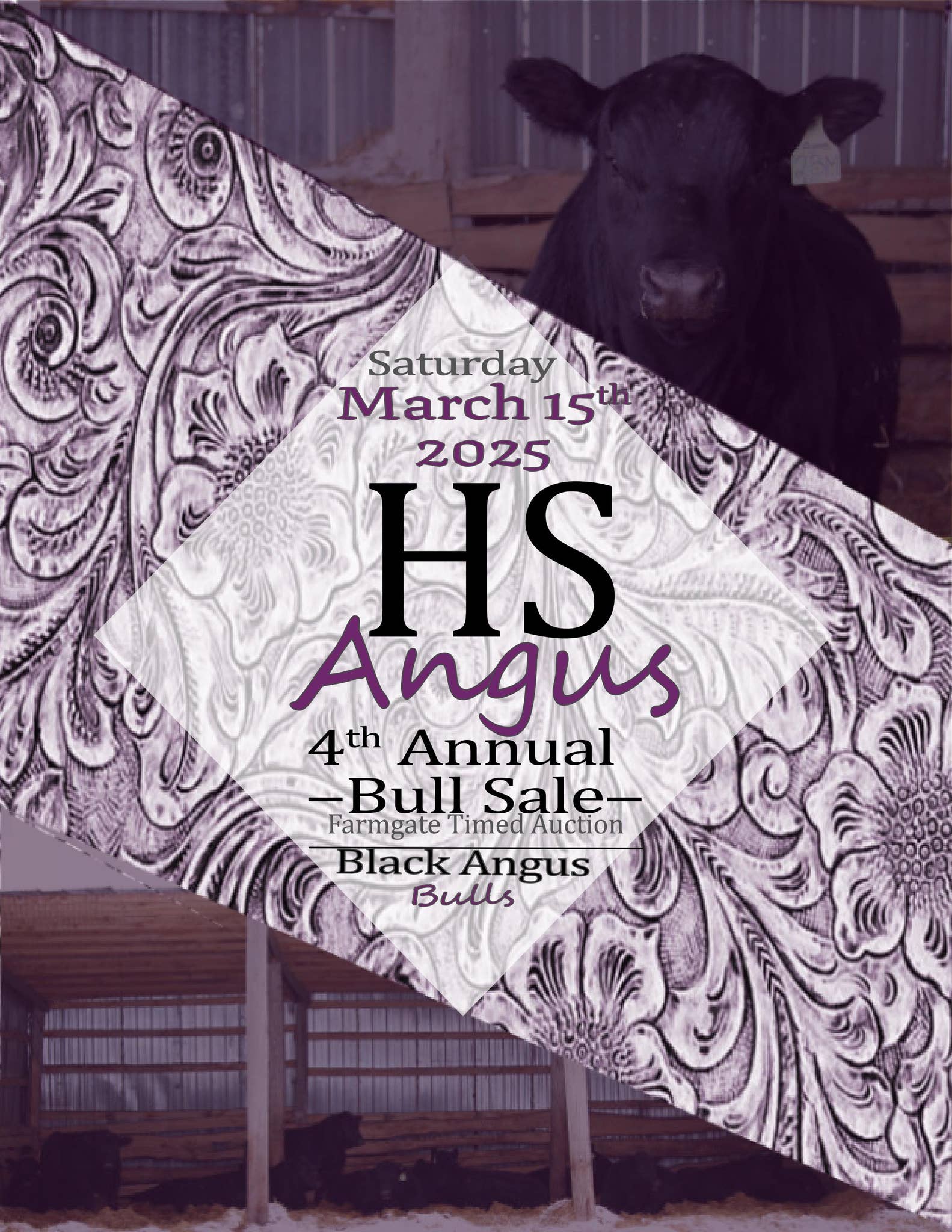 HS Angus 4th Annual Bull Sale by nrussellphotography - Issuu