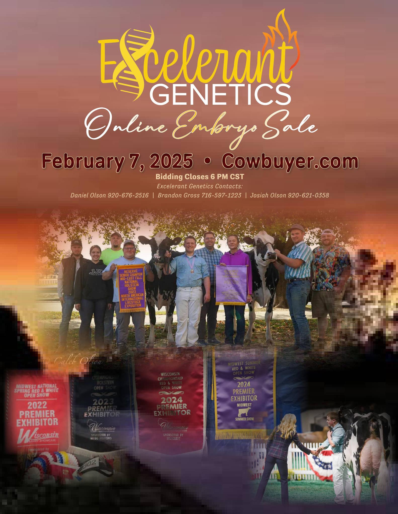 Excelerant Genetics Embryo Sale 2.7.2025 by Paula Bovre - Issuu