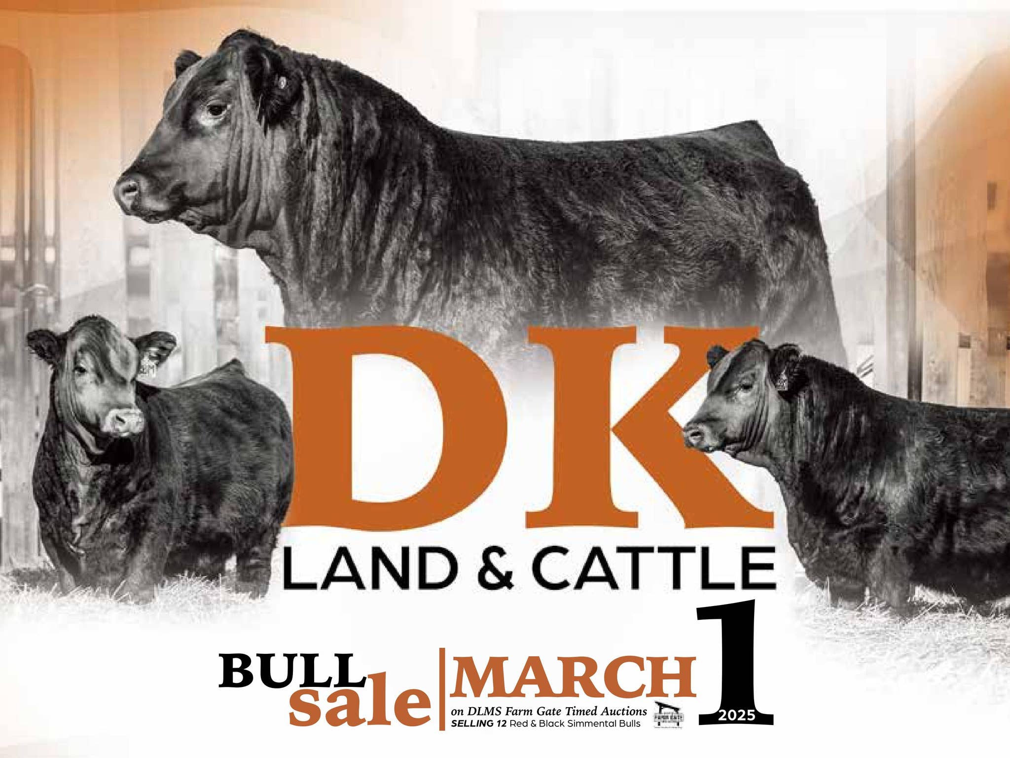 DK Land & Cattle Bull and Female Sale 2025 by Bohrson Marketing ...