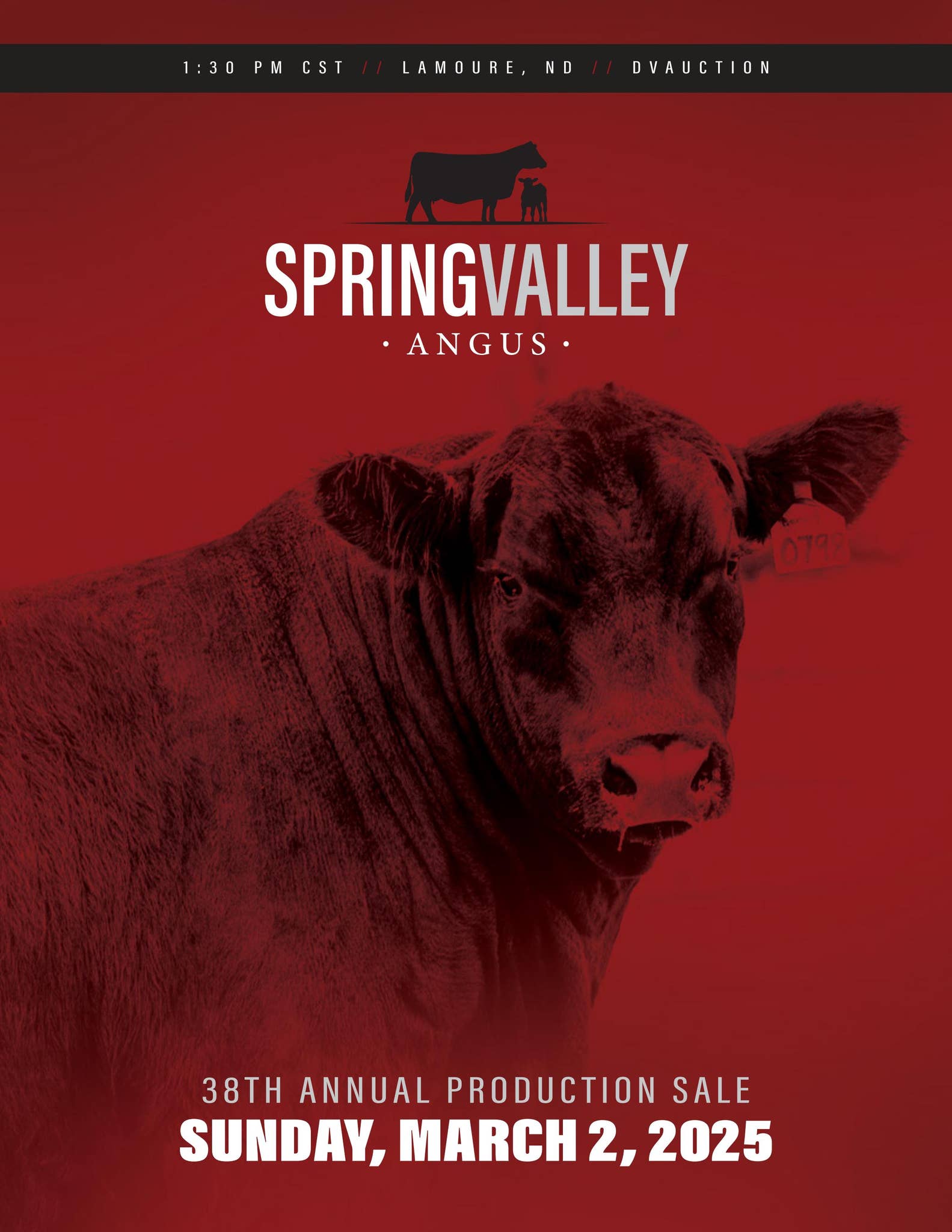 Spring Valley Angus Catalog 2025 by Addison K Creative Co - Issuu
