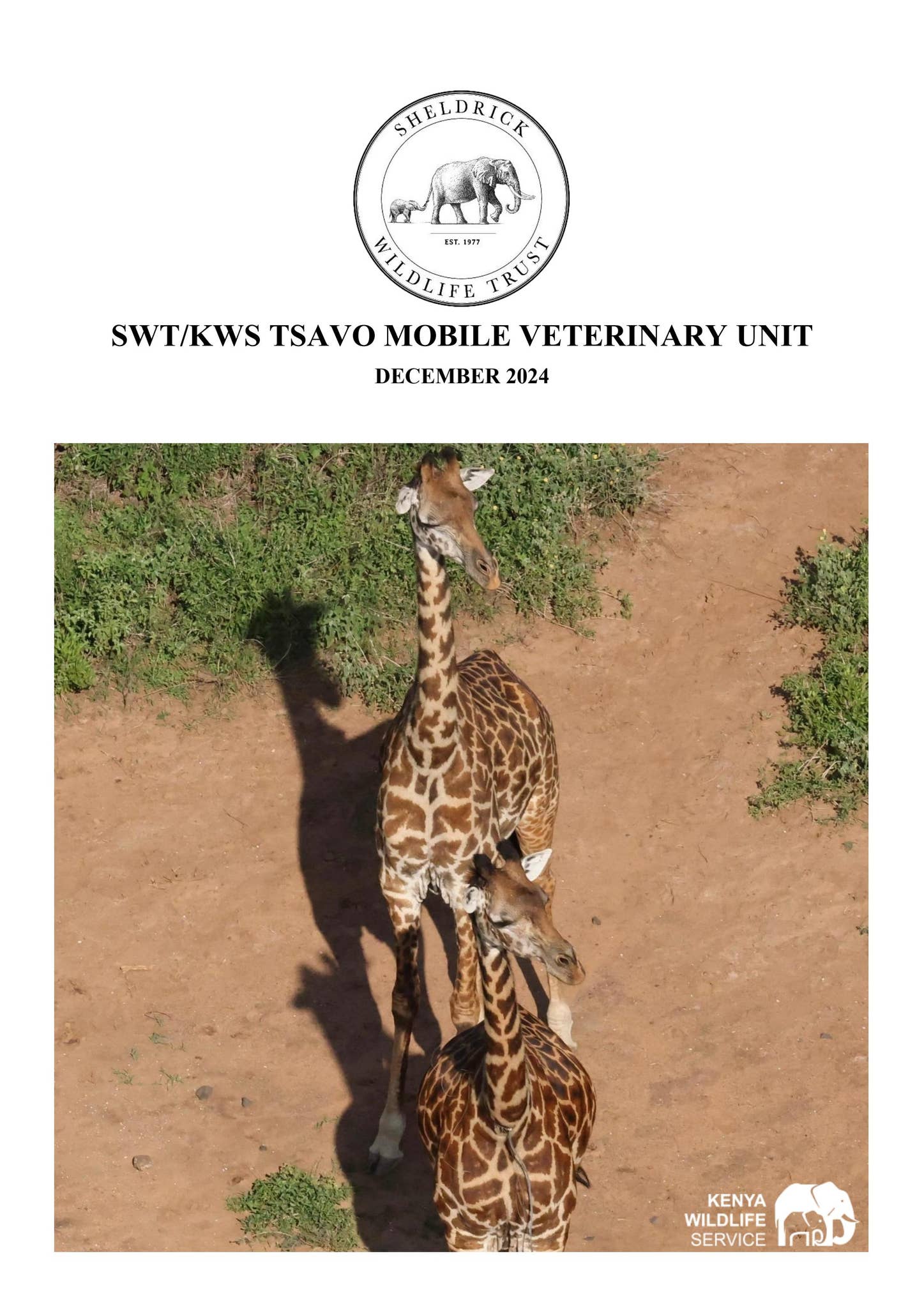 SWT/KWS Tsavo Mobile Veterinary Report for December 2024 by Sheldrick ...