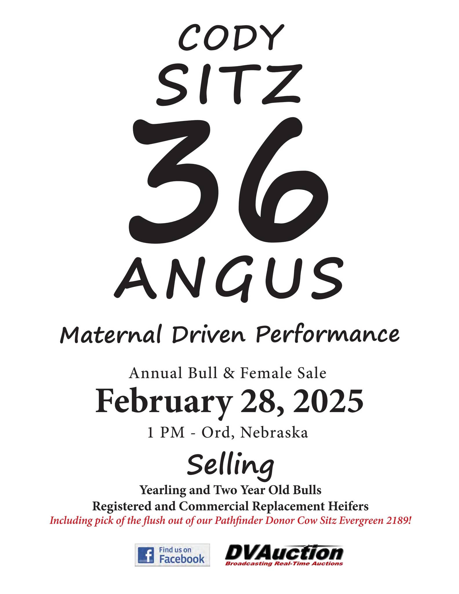 Sitz 36 Angus Annual Bull and Female Sale by LivestockDirect - Issuu