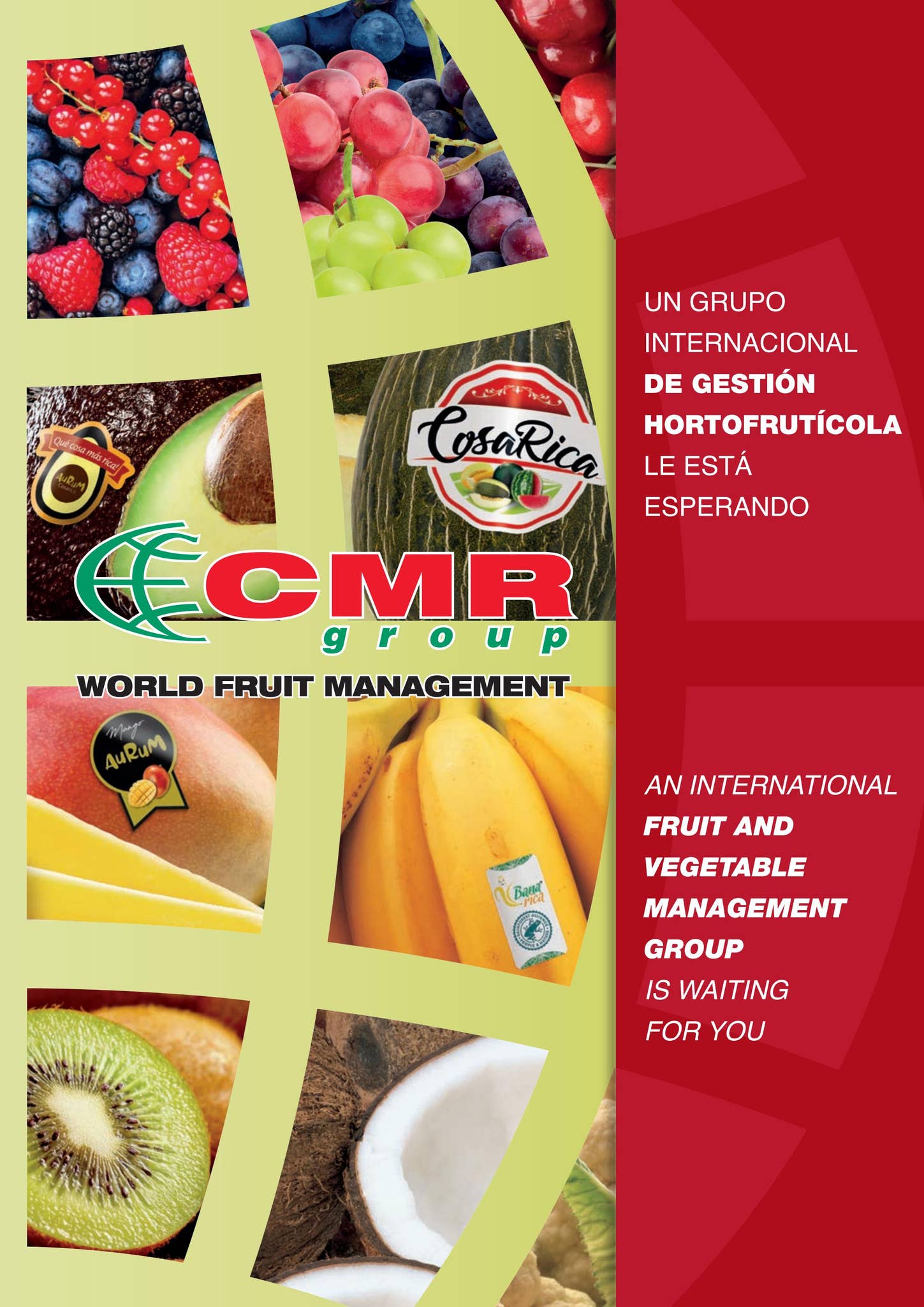 CMR - Catálogo corporativo 2025 by CMR GROUP - Issuu