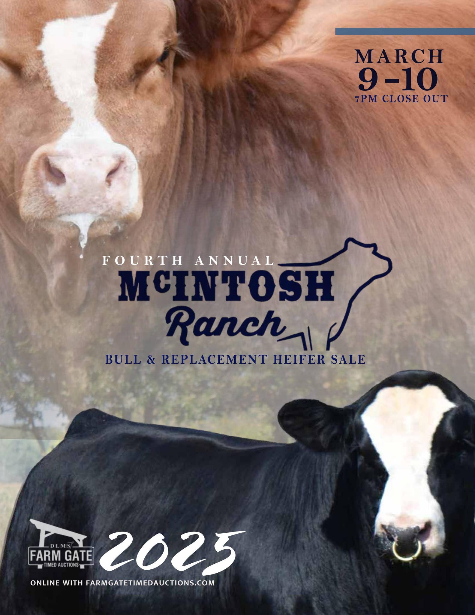 McIntosh Ranch & Guest Online Bull Sale 2025 by Bohrson Marketing ...