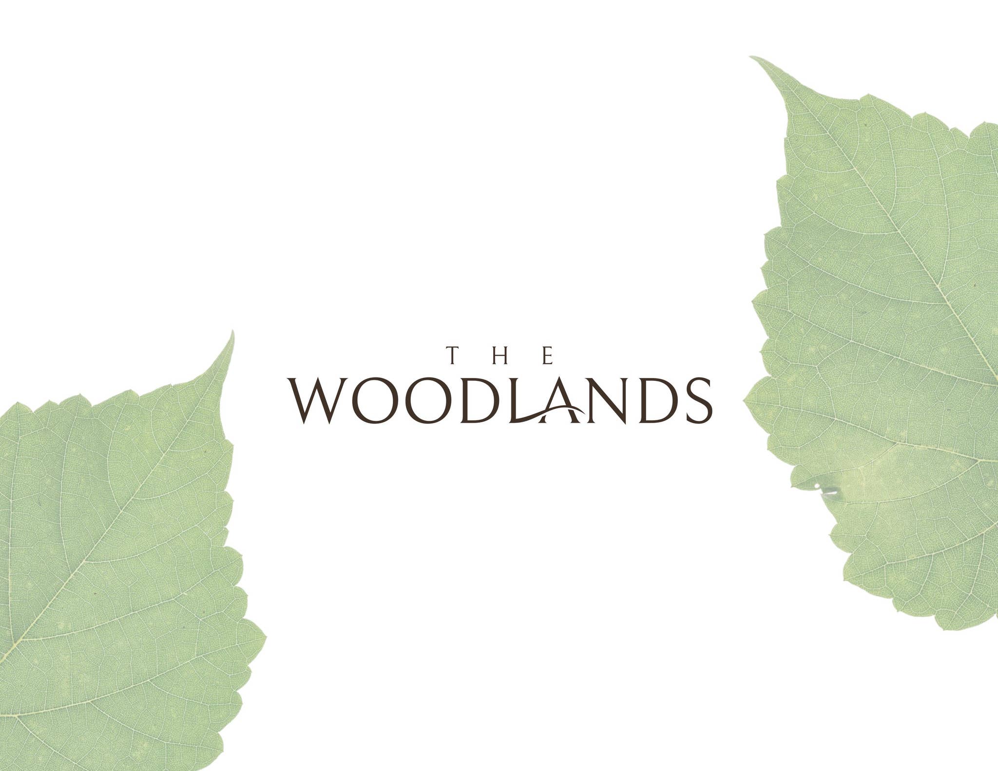 The Woodlands - Digital Brochure by Taryn Byron - Issuu
