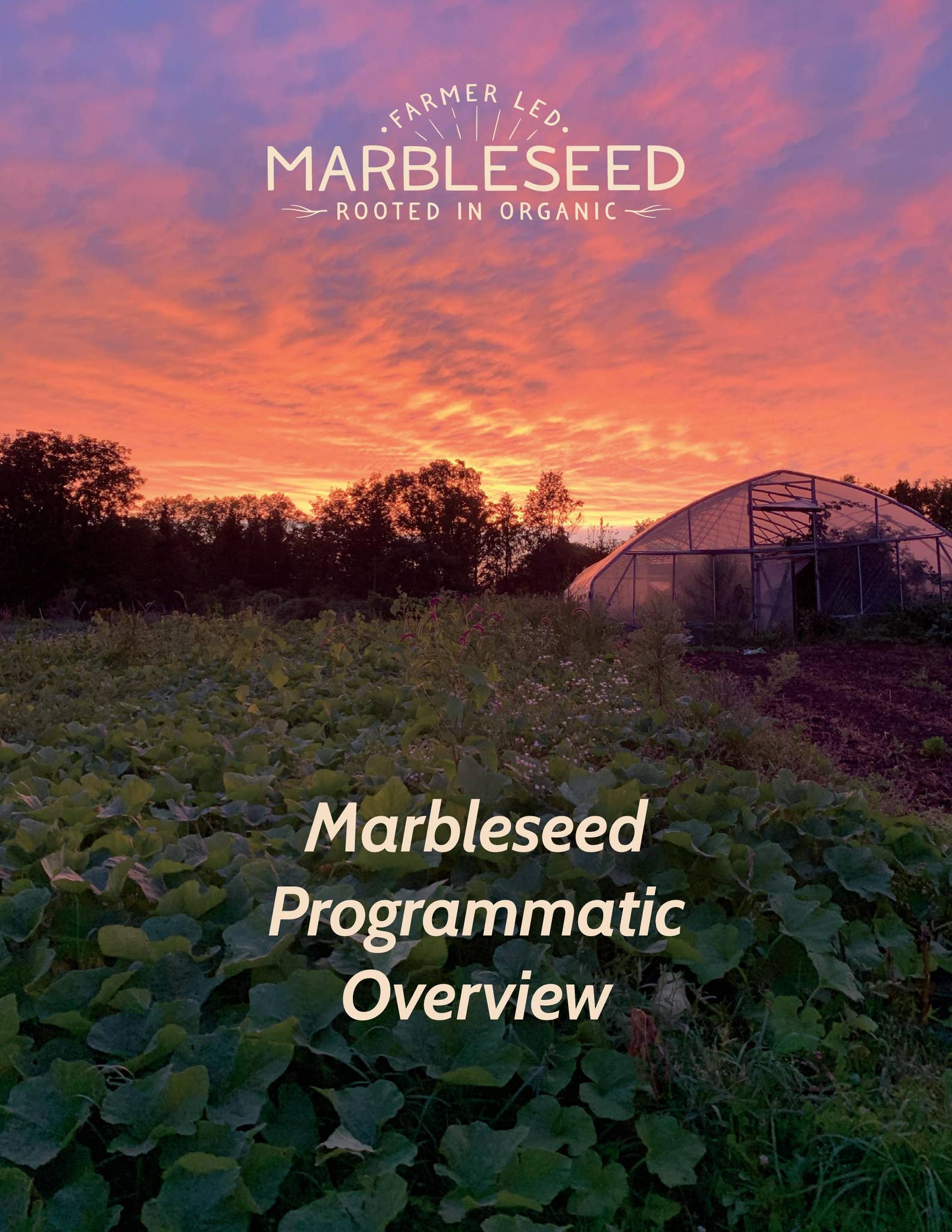 Marbleseed Grant Updates 2025 by marbleseed - Issuu