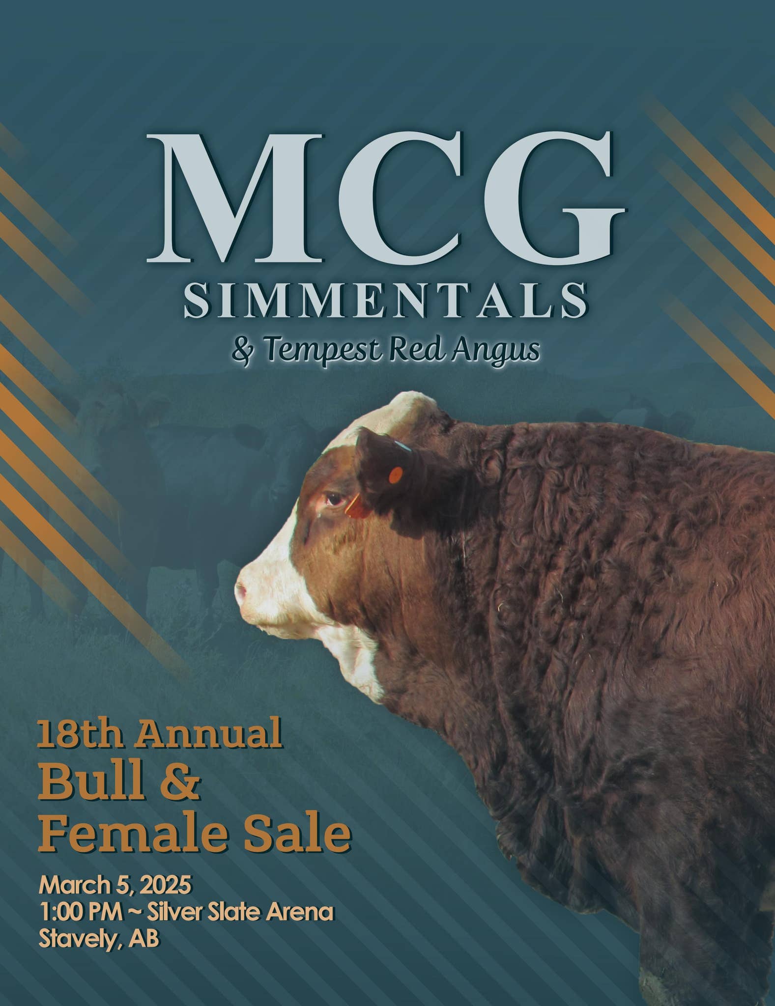 MCG Simmental & Tempest Red Angus 2025 Bull Sale Catalog by McLeod Ag ...