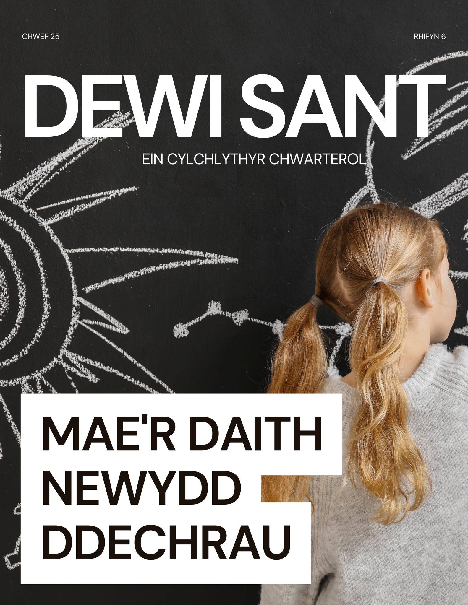 St David's Newsletter Issue 6 - (Welsh) by St Davids Adoption ...