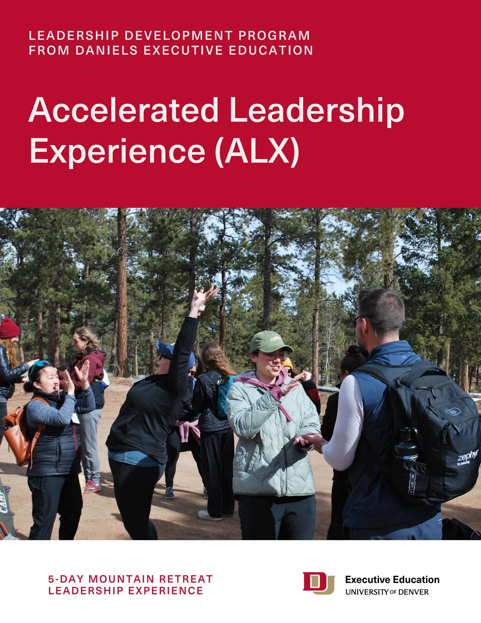 ALX Program Brochure by DUExecEd - Issuu